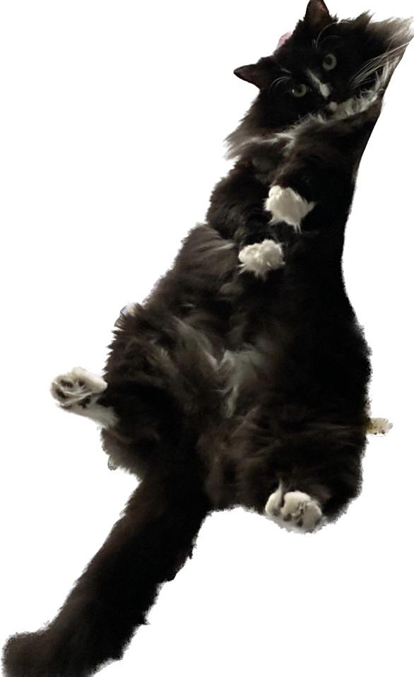 Winnie and her underpants | Scrolller