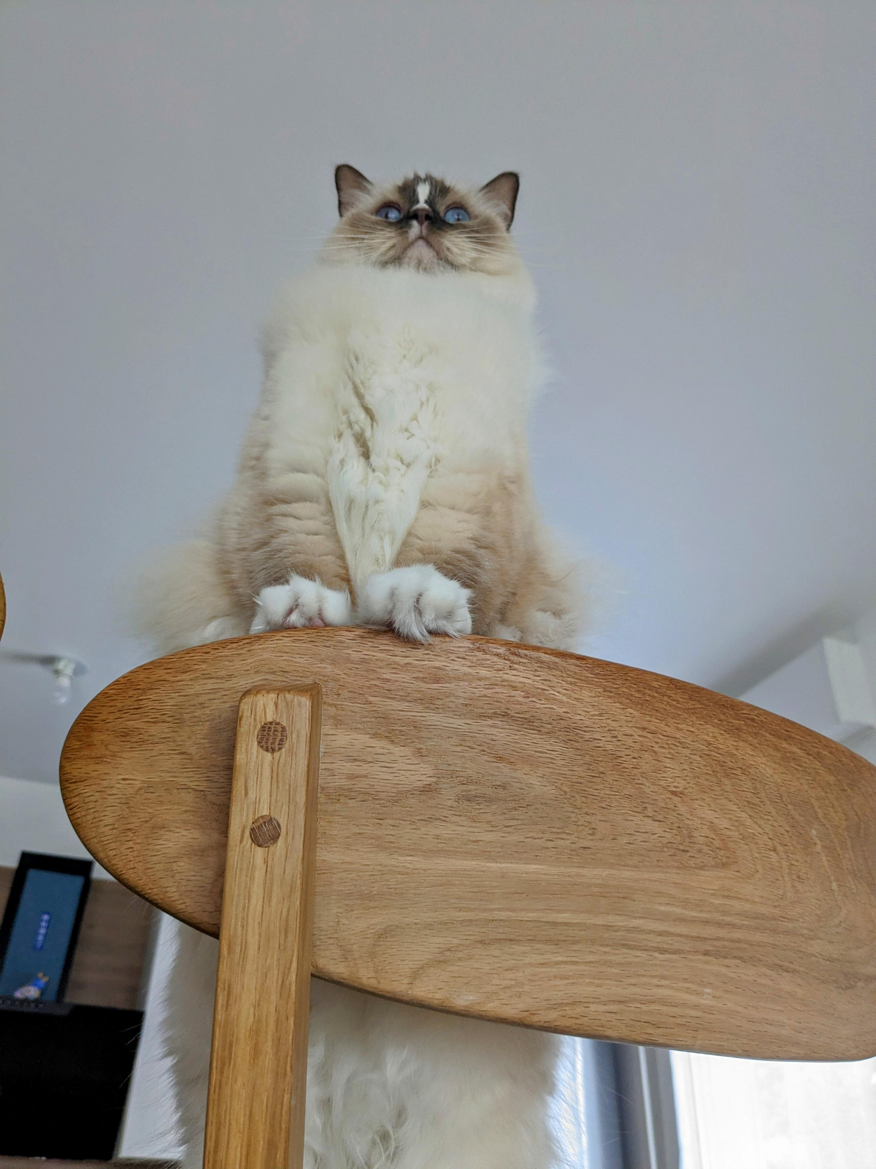 Plotting world domination | Scrolller