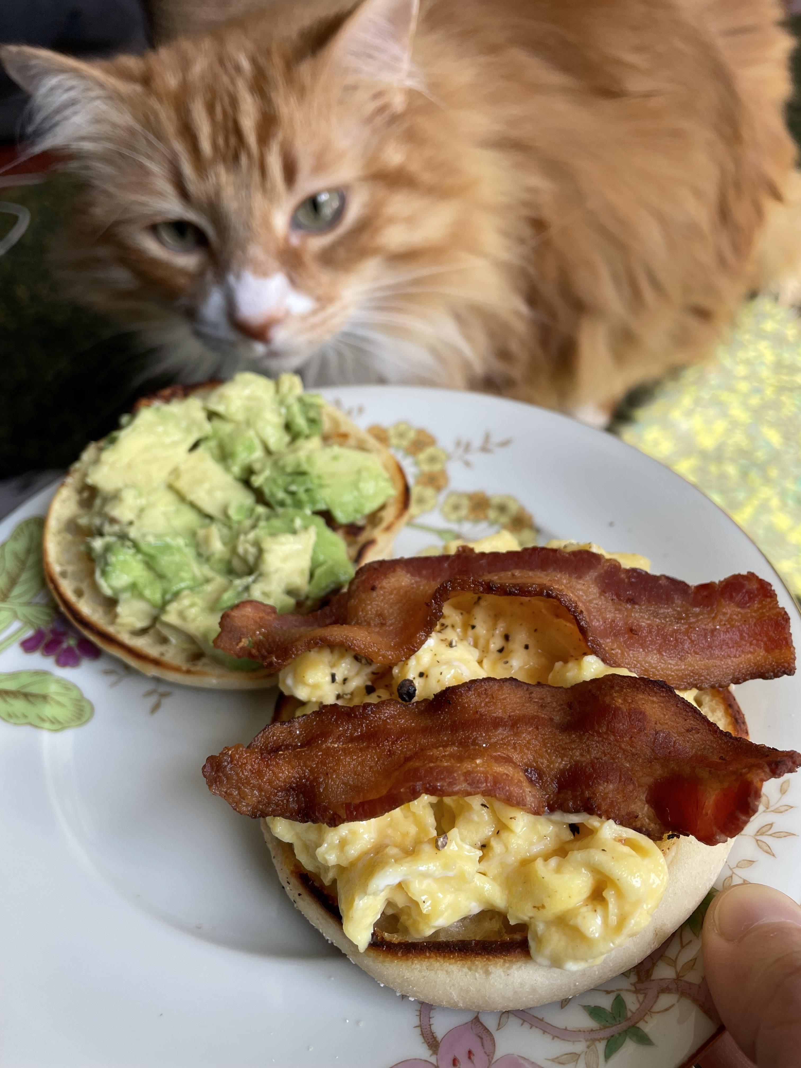 Breakfast sando [homemade] | Scrolller