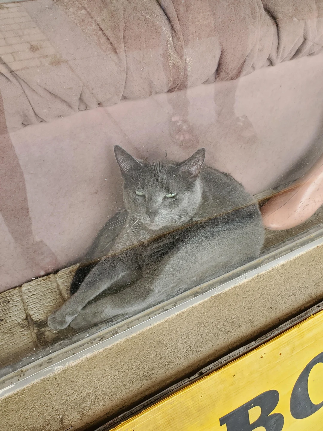 window shopping | Scrolller