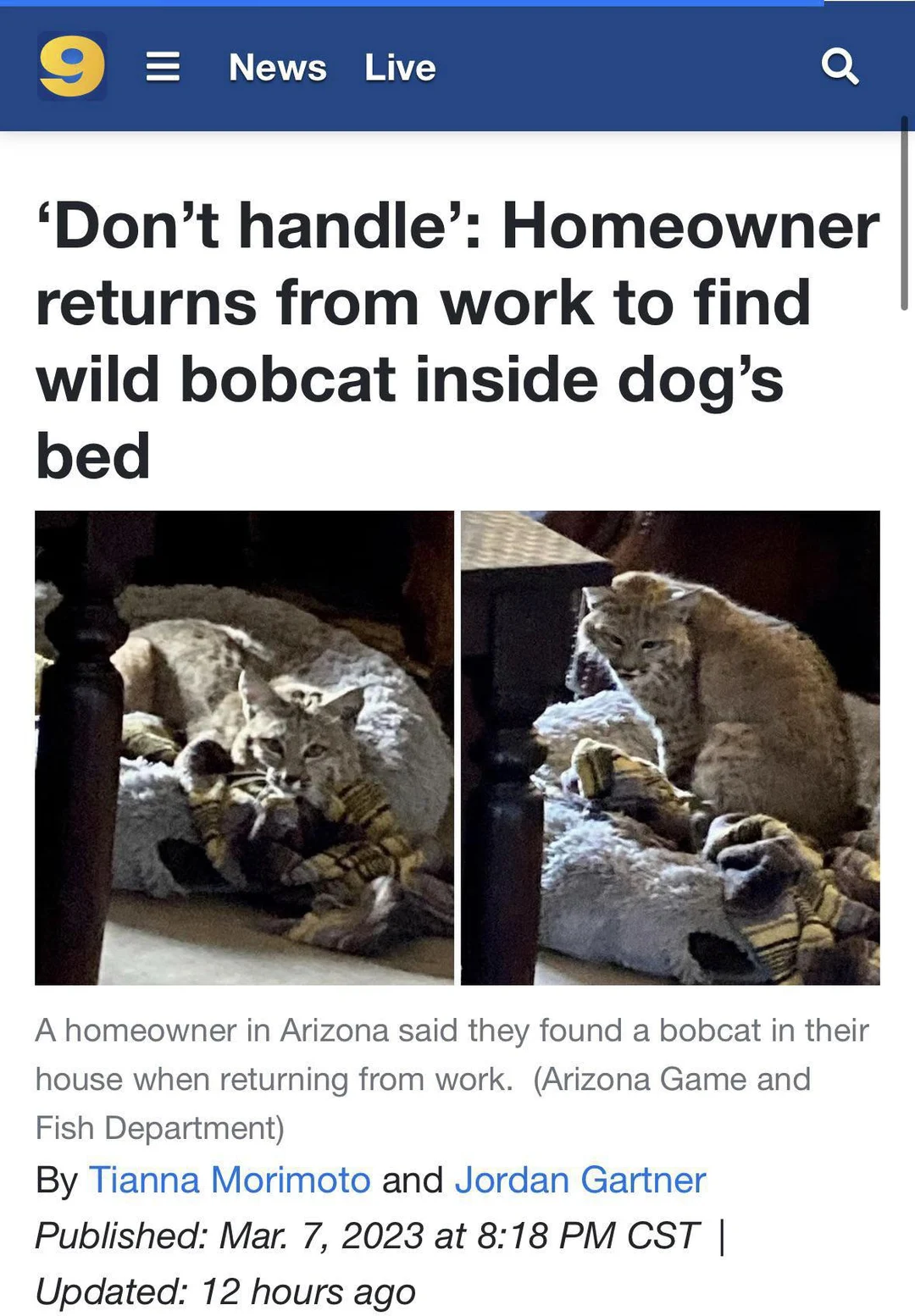 Definitely a surprise catch, but a catch nonetheless | Scrolller