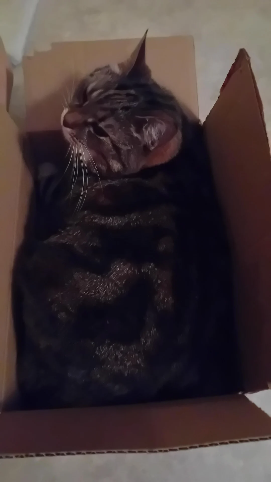 Still enjoying our Christmas boxes | Scrolller