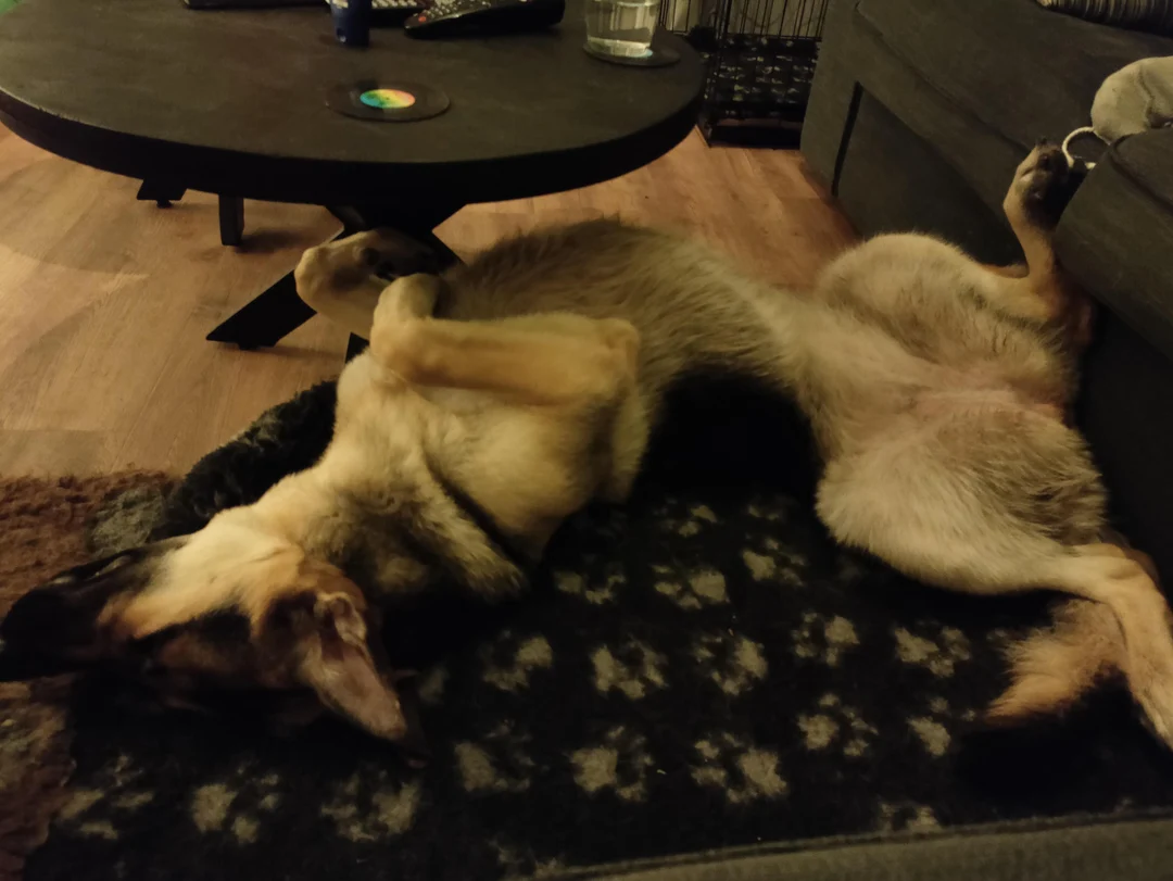 Apparently this counts as comfortable | Scrolller