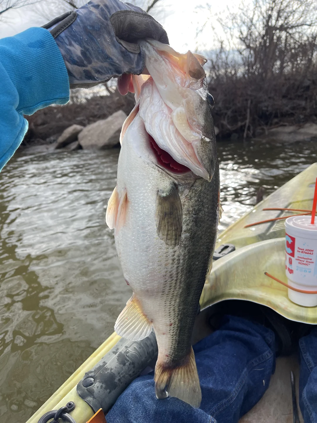 Hooked a 20” hog this Christmas Eve! | Scrolller