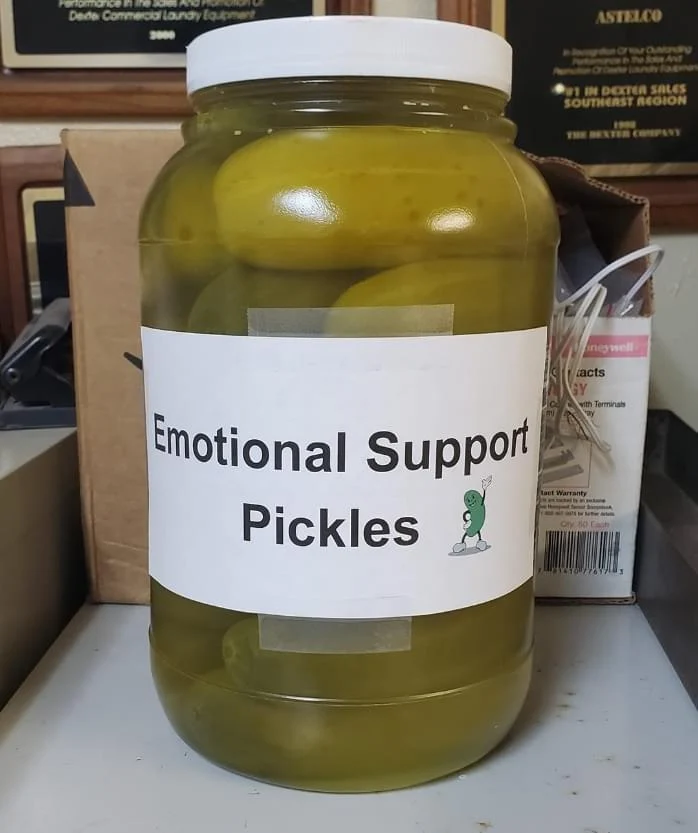 Have a emotional support pickle! | Scrolller