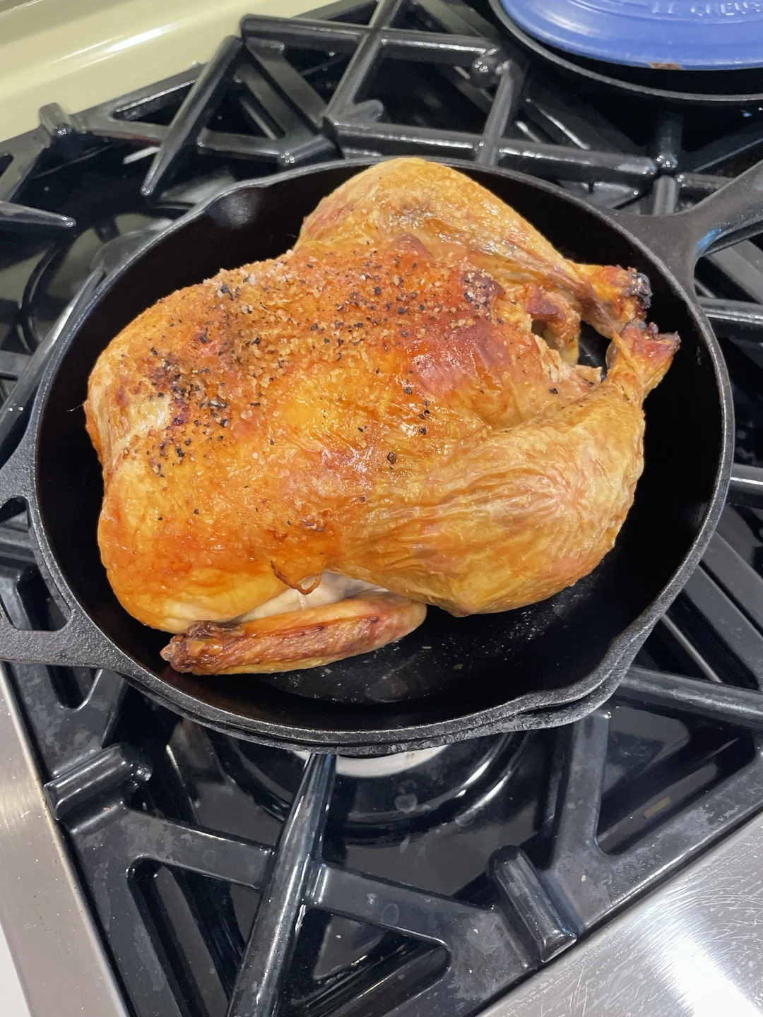 Someone please validate my chicken. | Scrolller