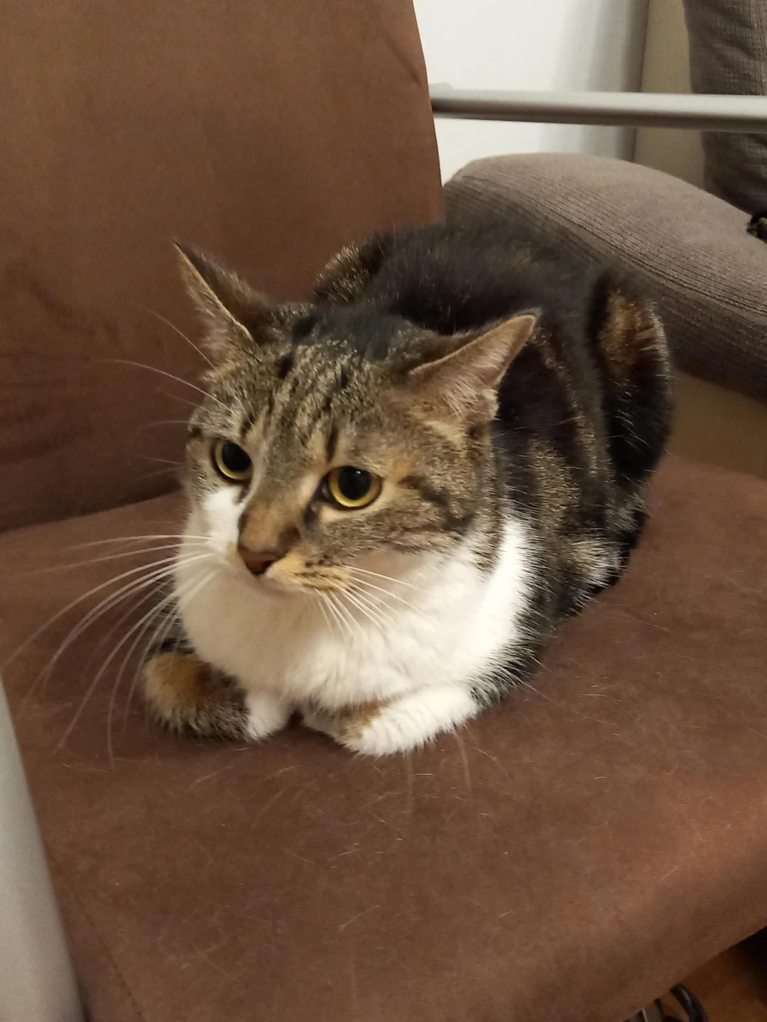 My Loaf | Scrolller