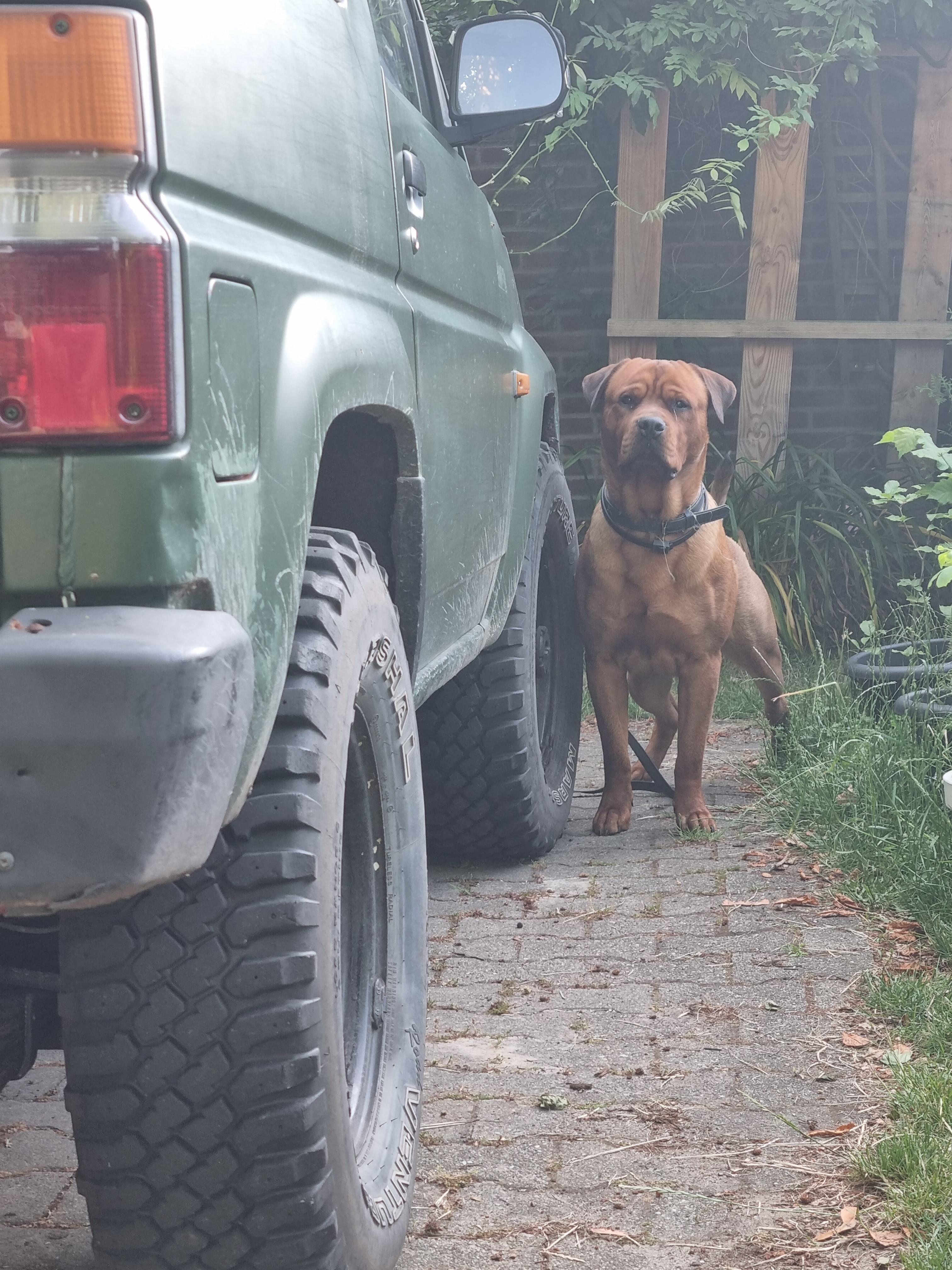 Our big teddy bear | Scrolller