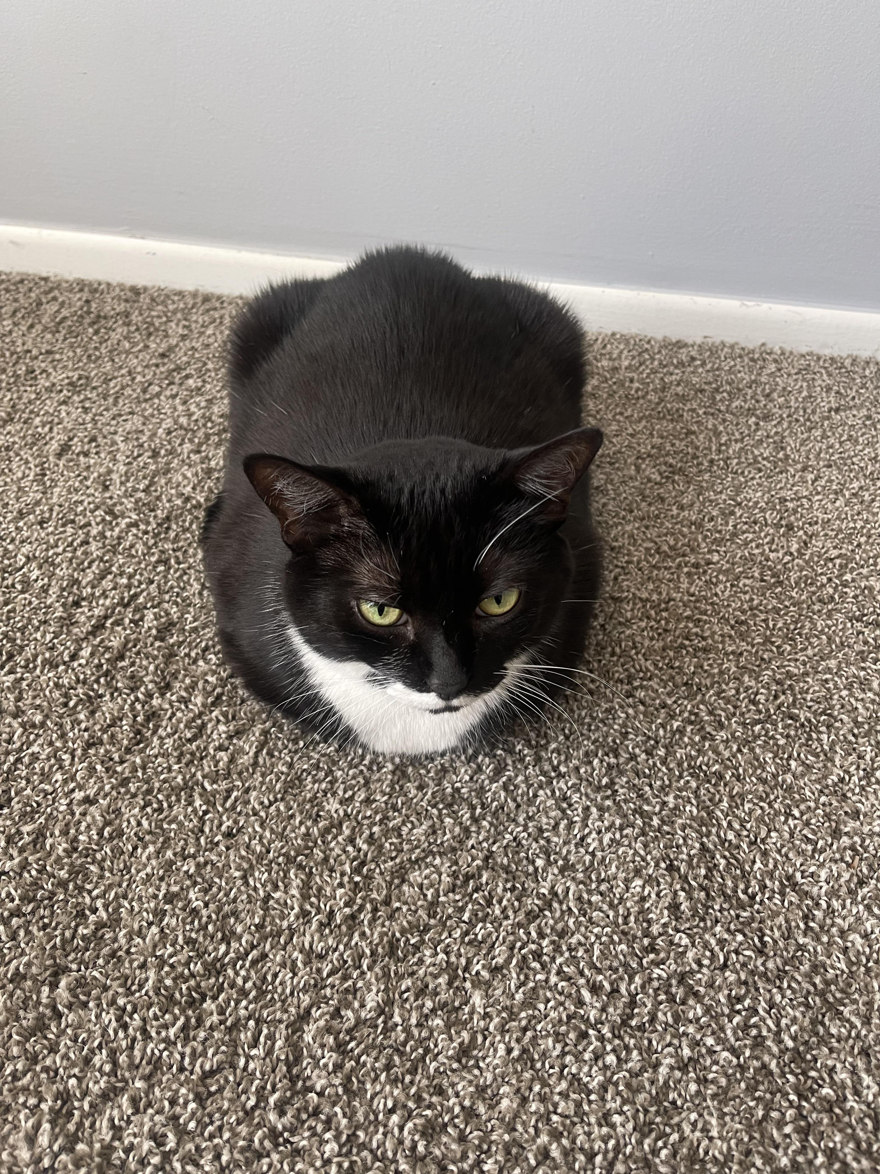 11 years of perfecting her technique | Scrolller