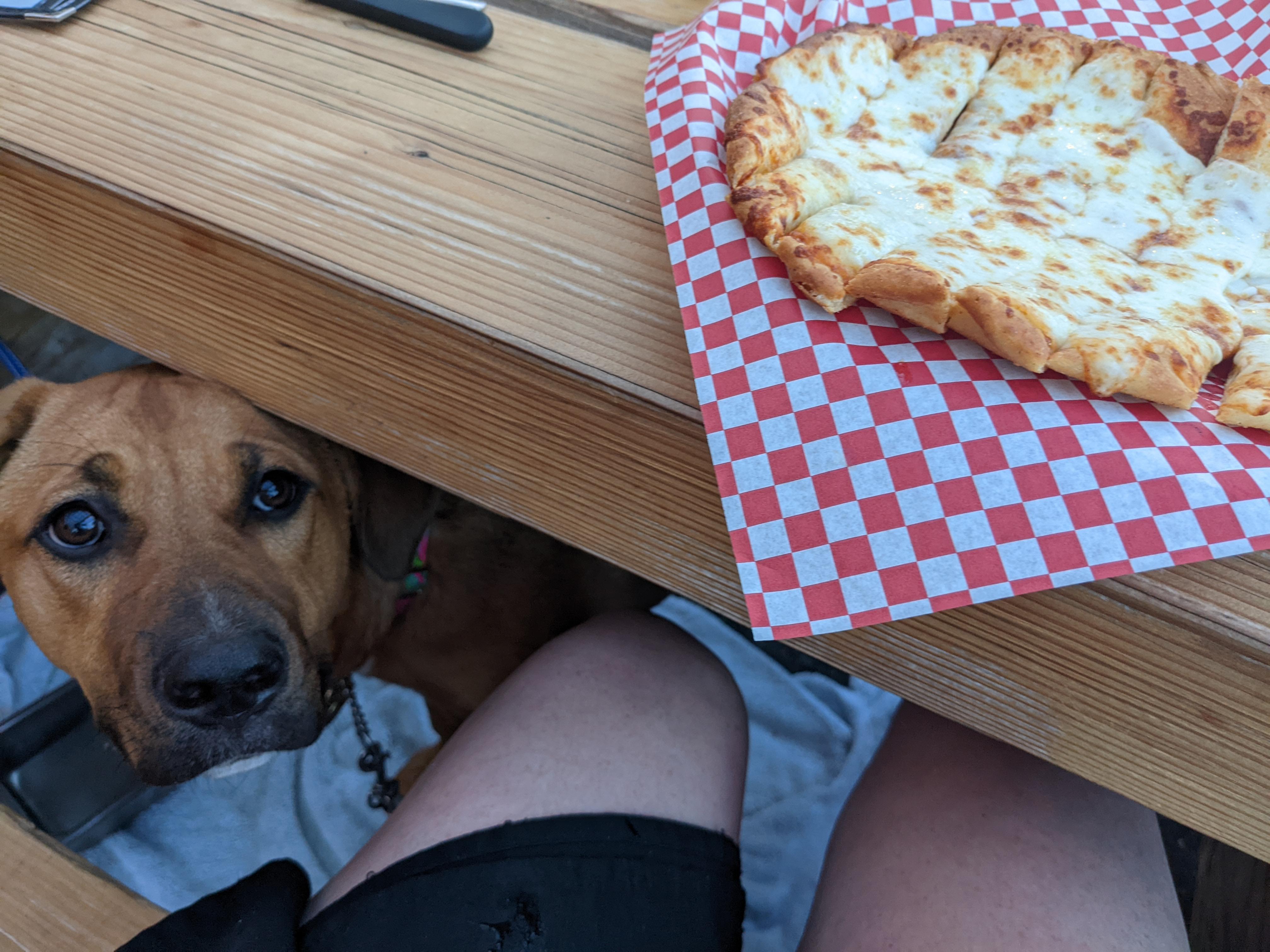 The face of optimism | Scrolller