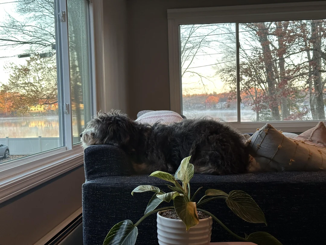 Willow Getting Cozy | Scrolller