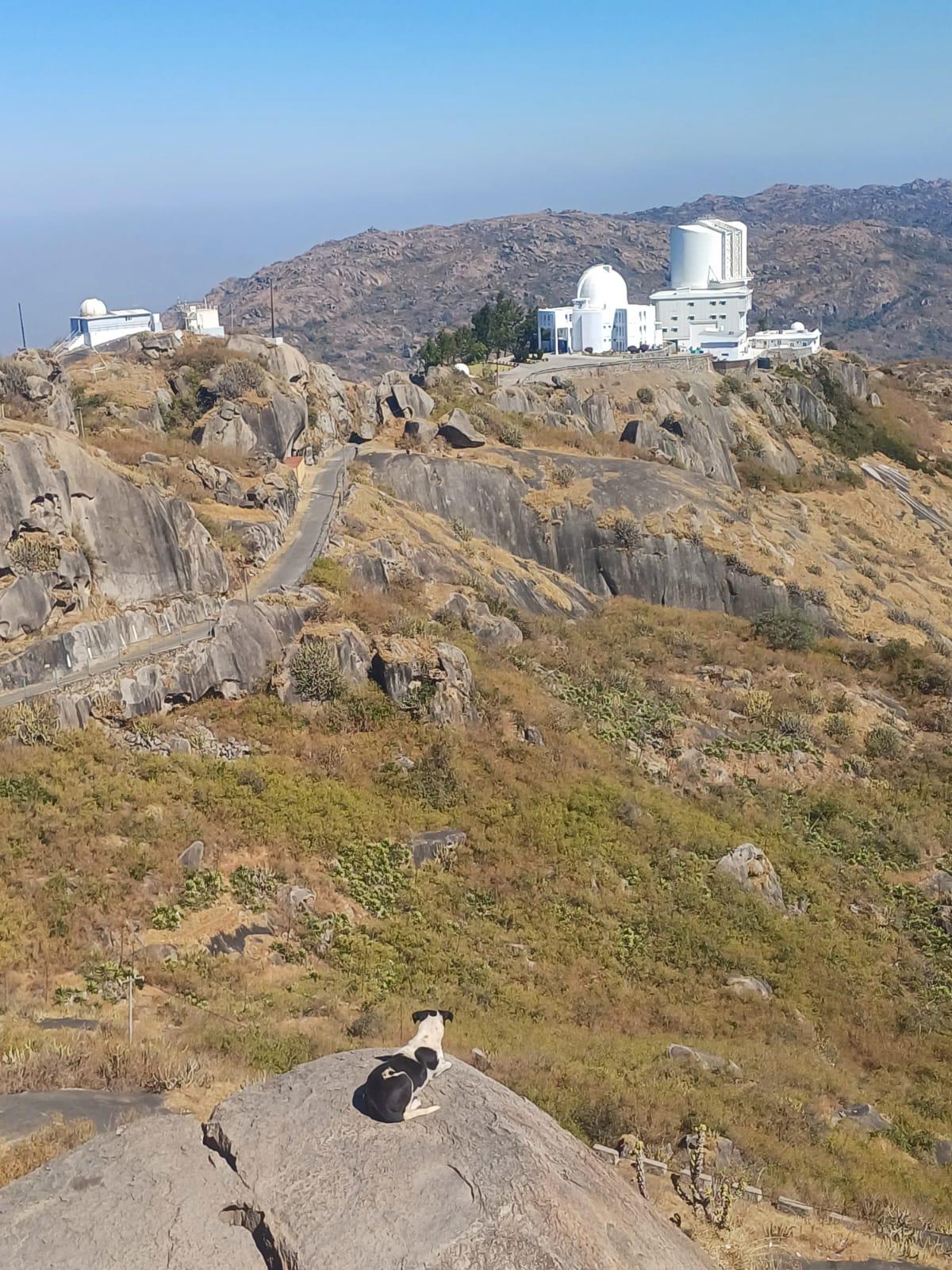 Main Character Energy ! | Scrolller