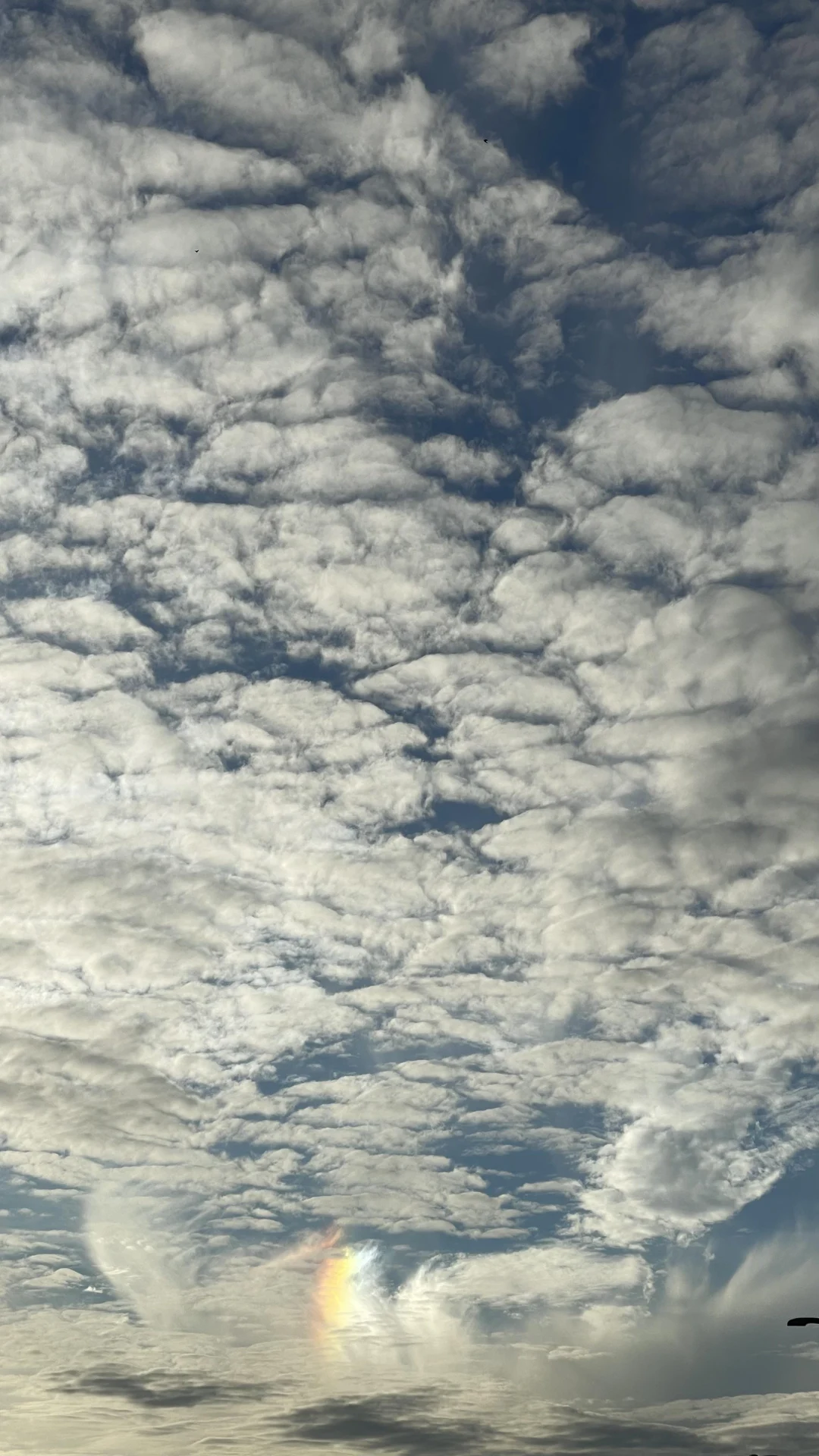 Cypress, Texas sky | Scrolller