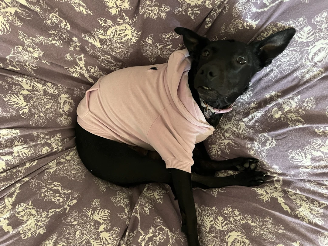 She finds the weirdest poses. | Scrolller