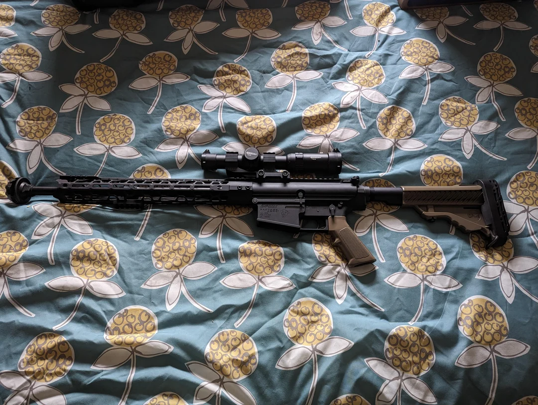 what you all think of the recent upgrades to my AR308? new barrel, handguard, and muzzle device ...