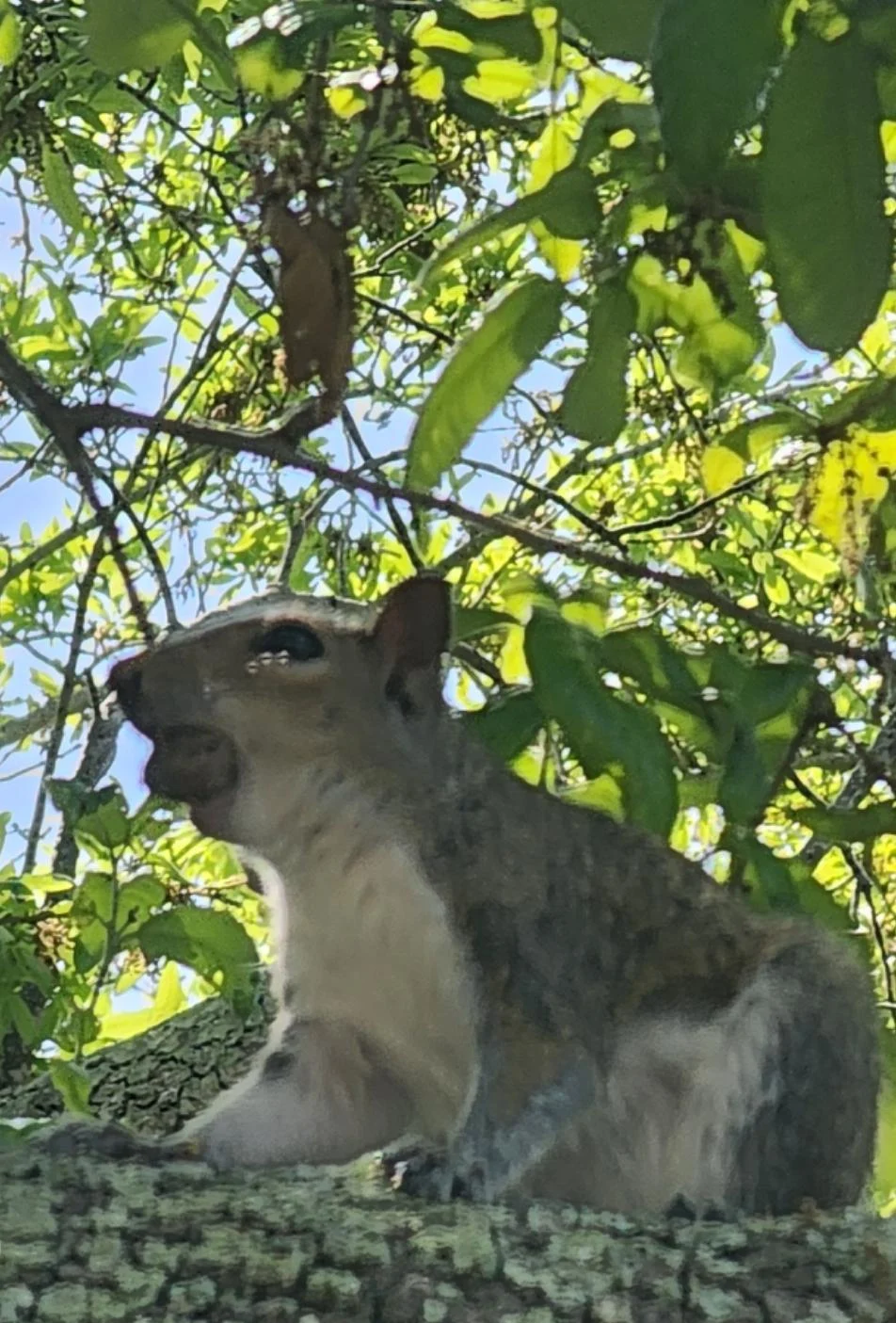 No more press! | Scrolller