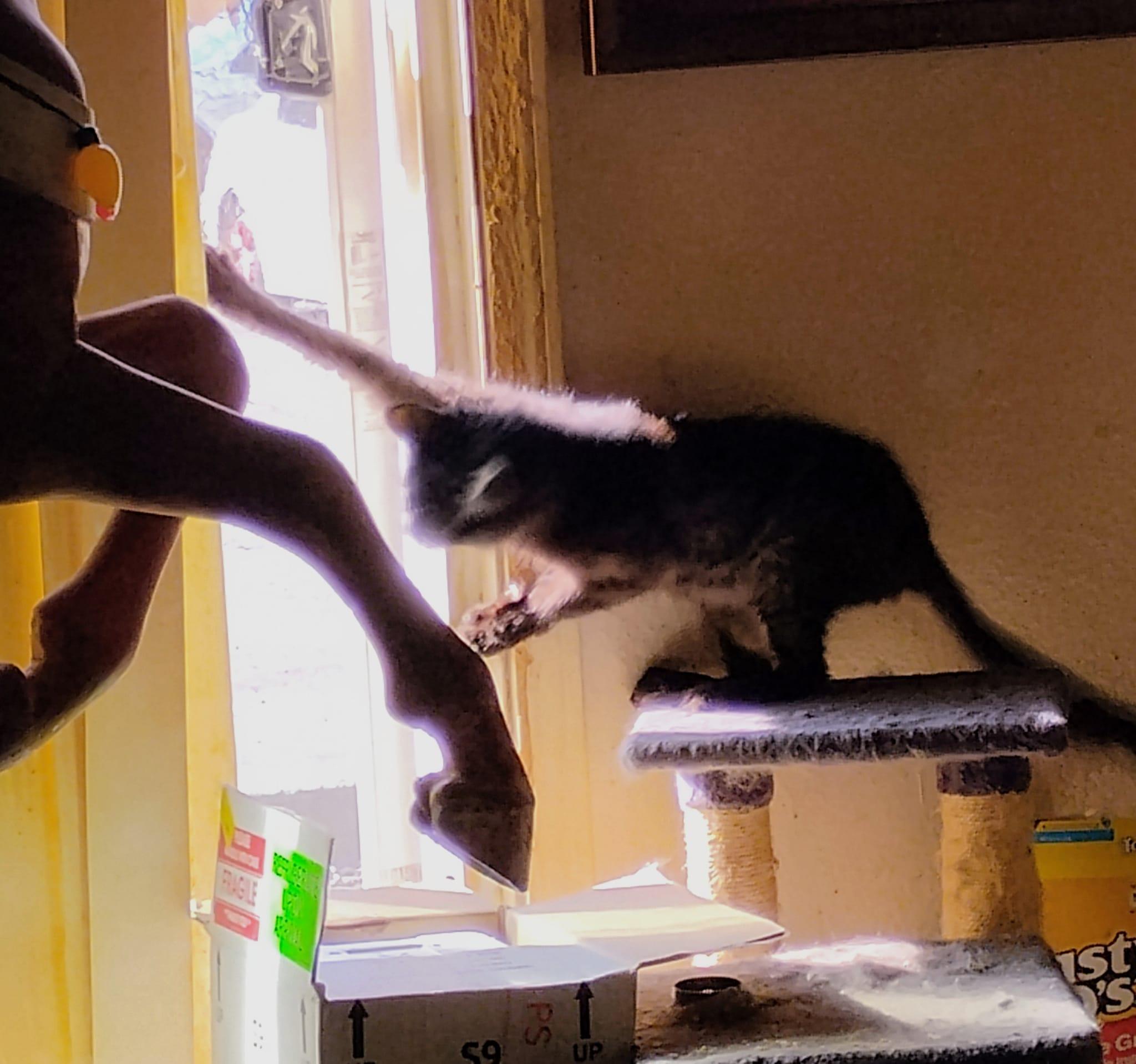 Stuck!!!! | Scrolller