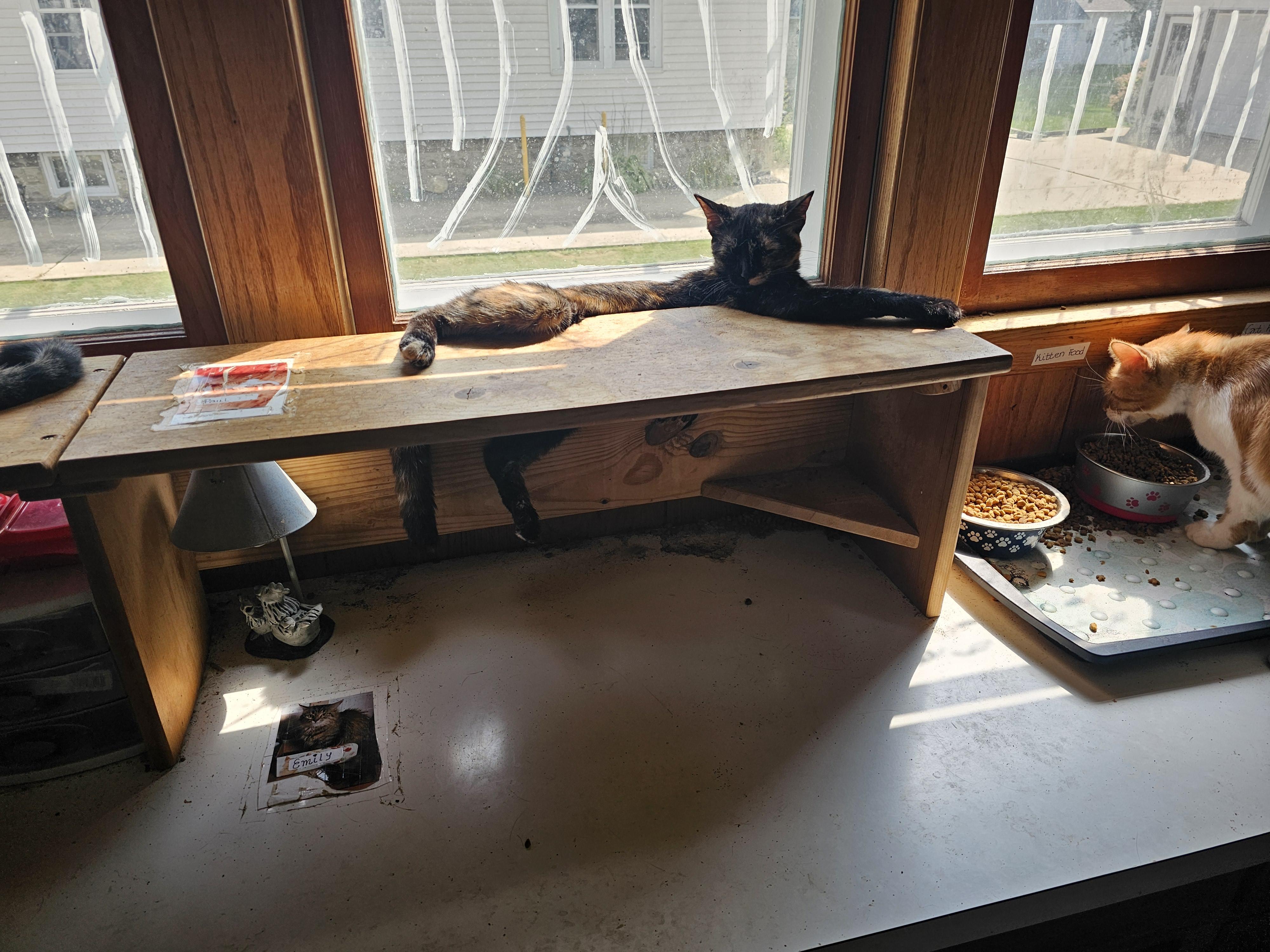 Strange resting positions | Scrolller