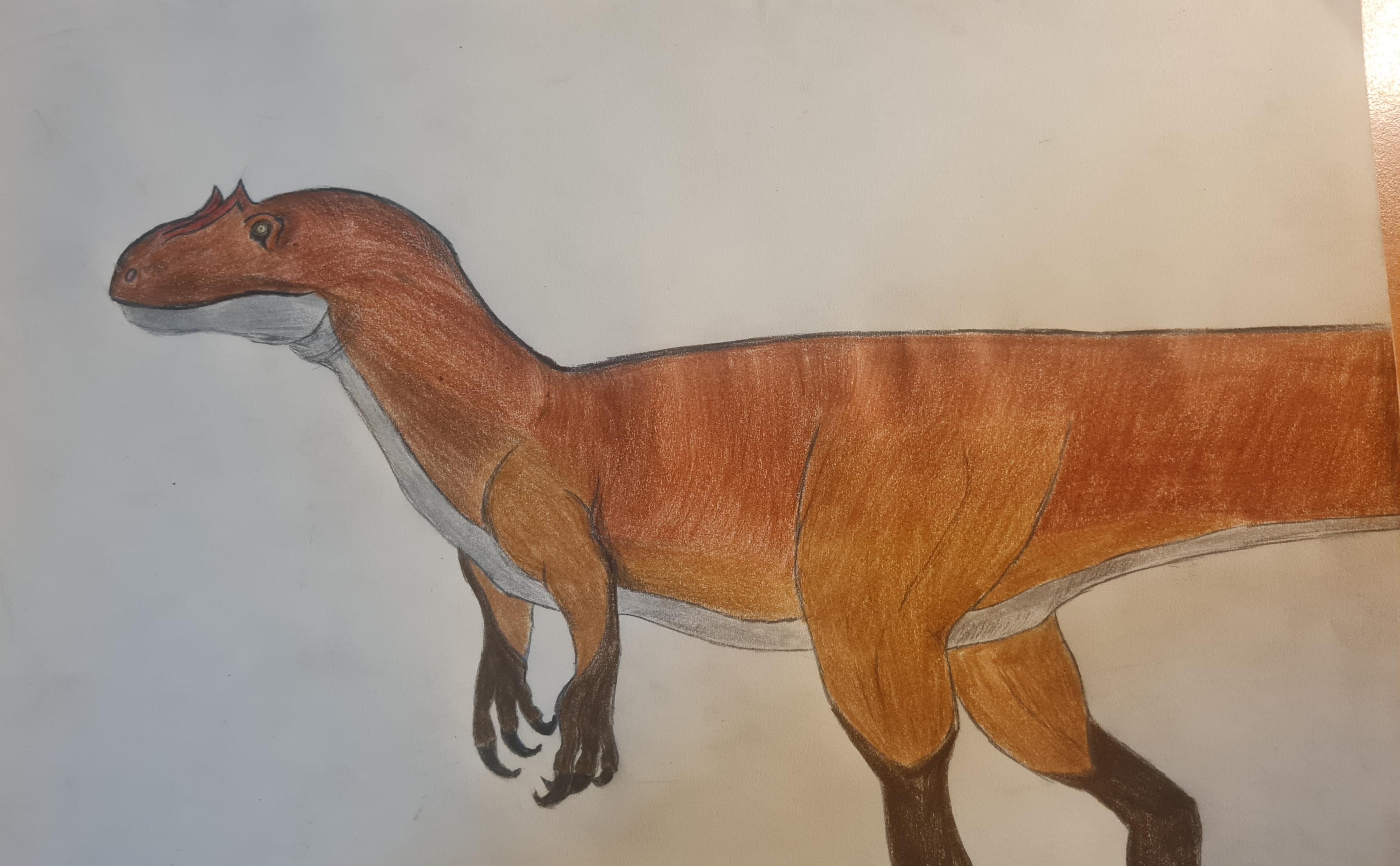 Allosaurus painted and partially drawn by my 13 year old younger brother. I helped with the ...