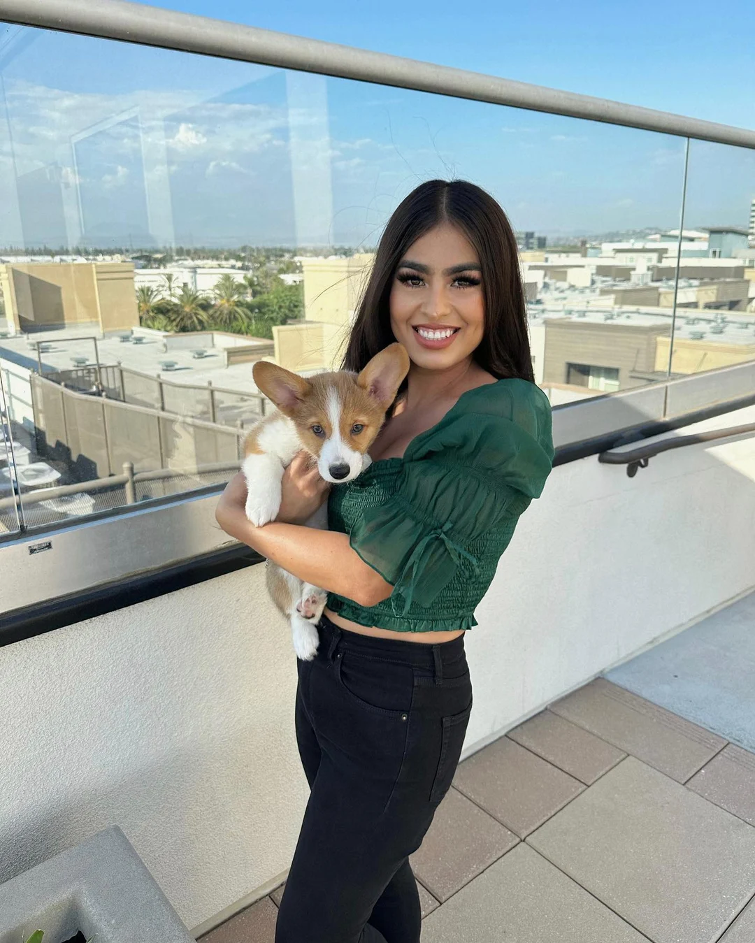 Corgi Pup | Scrolller