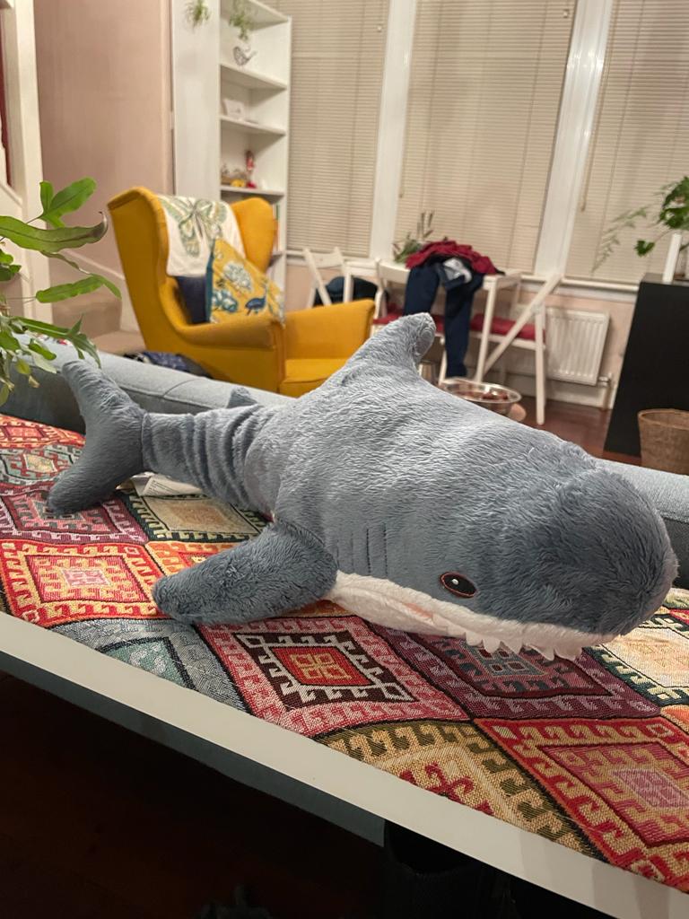 Discover more like Trans: Finally got one! and Related Content | Scrolller