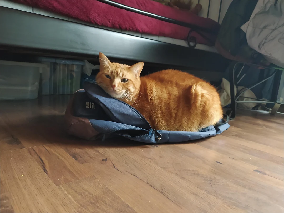 Didn't know backpacks were such good traps! | Scrolller