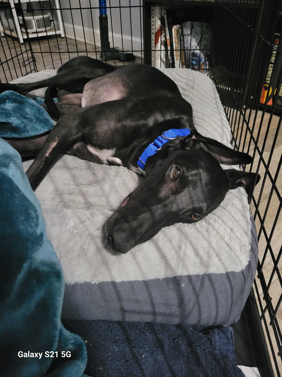 Cozy crate noodle. | Scrolller