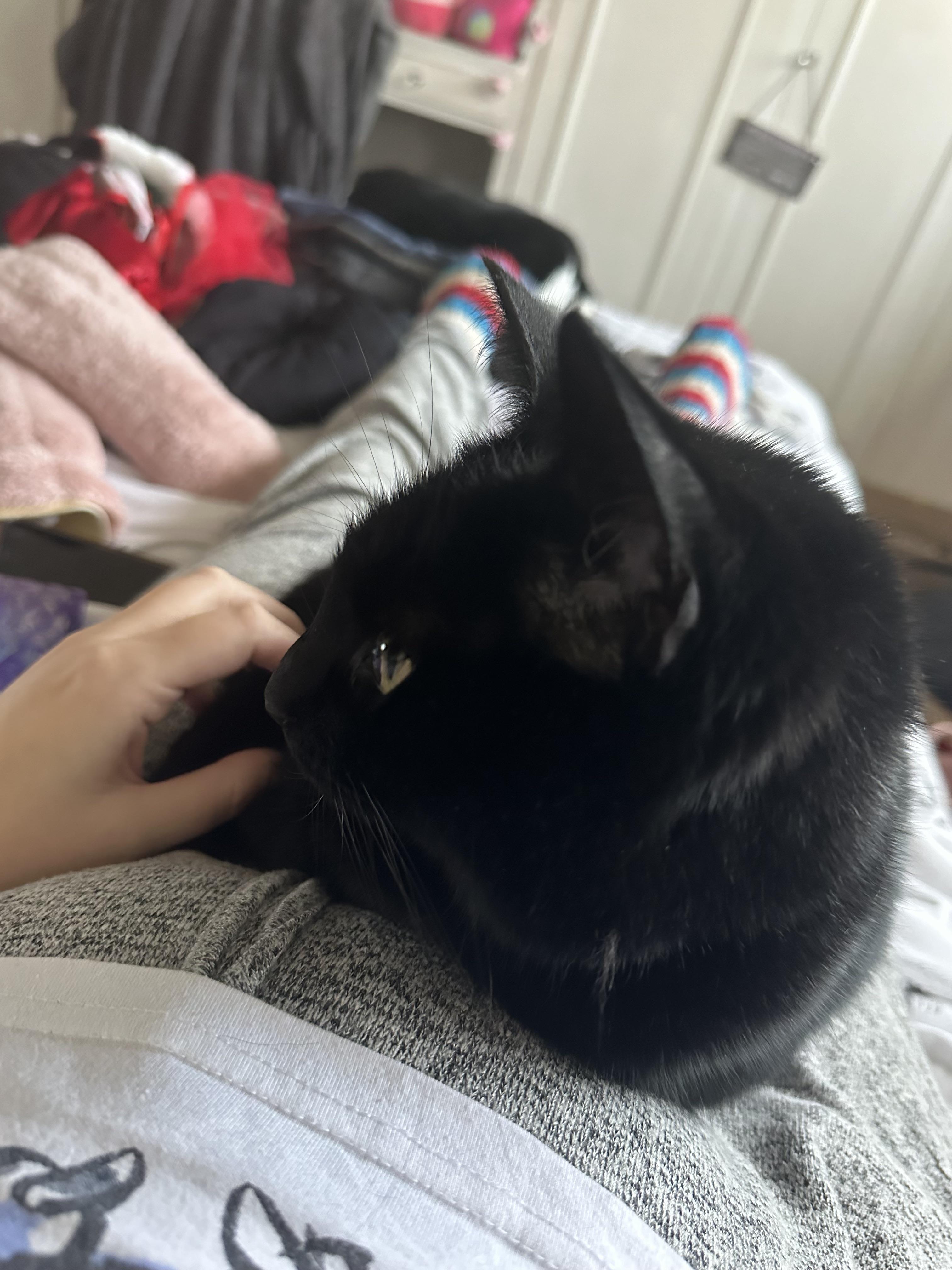 A cuddly void | Scrolller