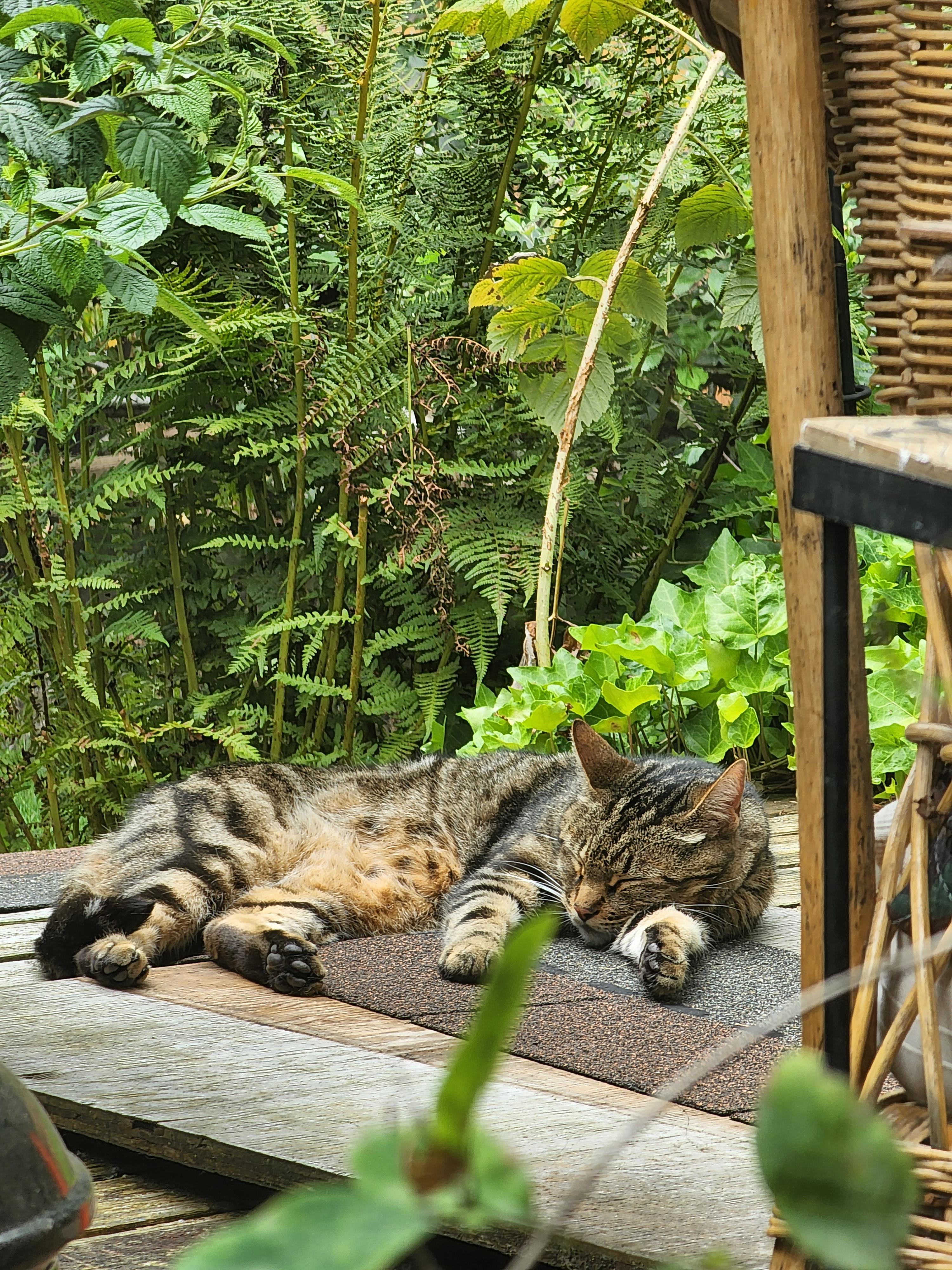 [OC] Beans | Scrolller