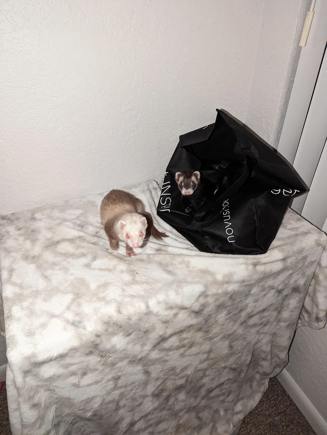 The girls got spooked by the camera 😂😊 | Scrolller