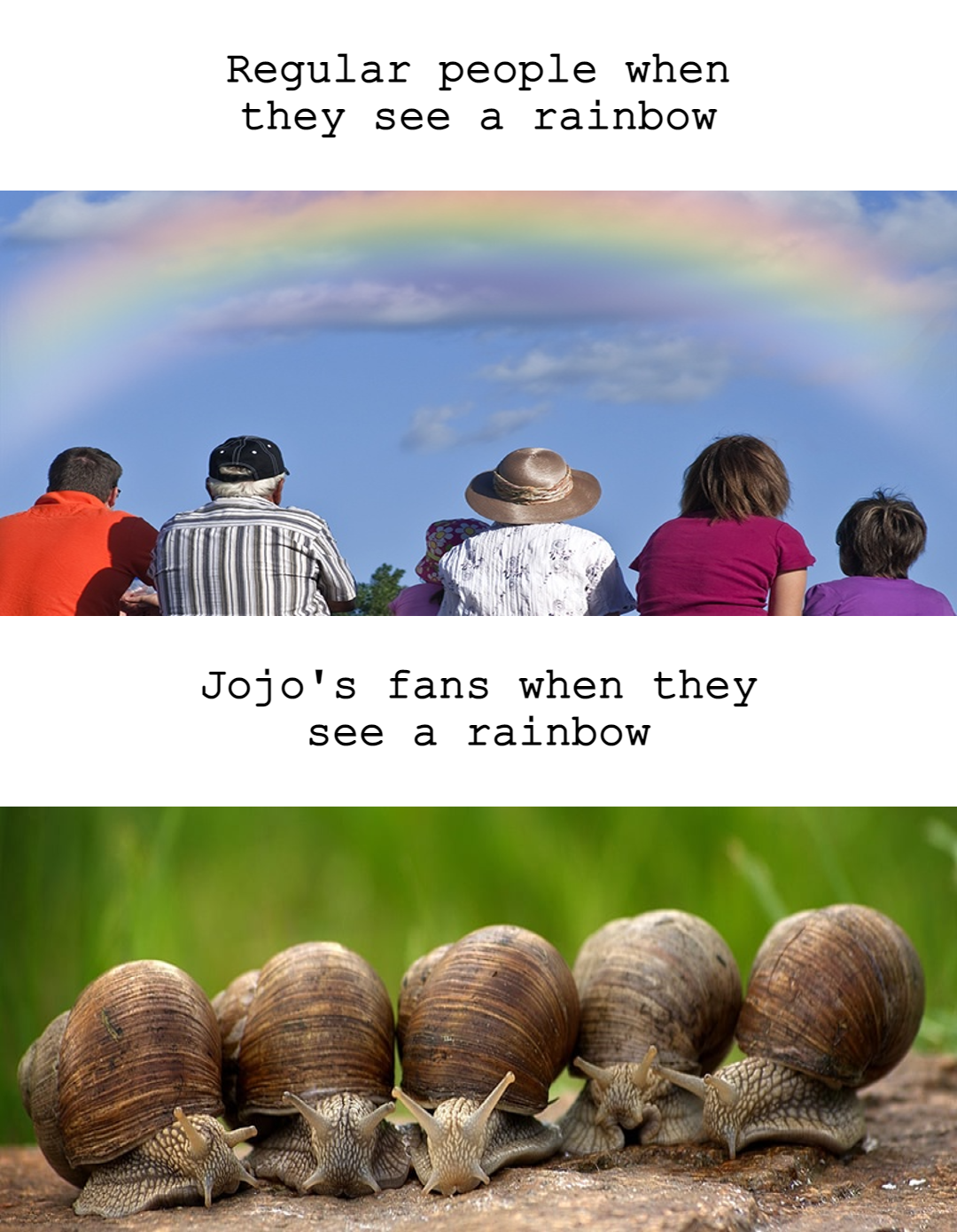 Snail pride | Scrolller