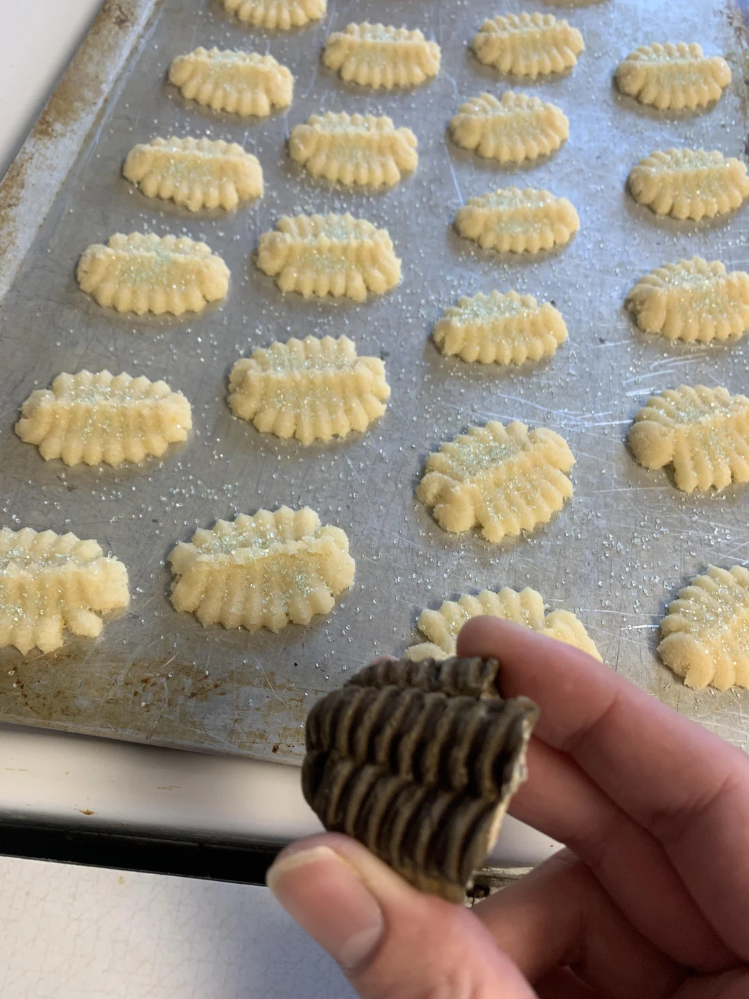Trilobite Cookies! | Scrolller