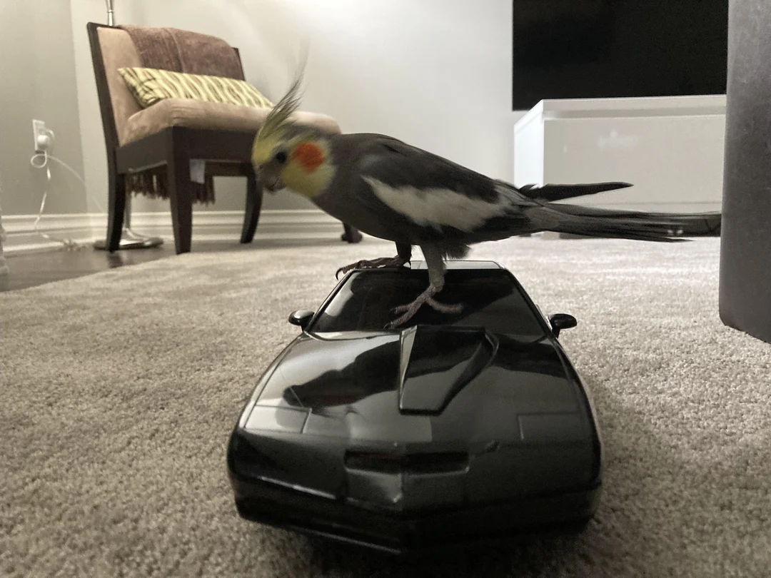 Behold, the Drift King! | Scrolller