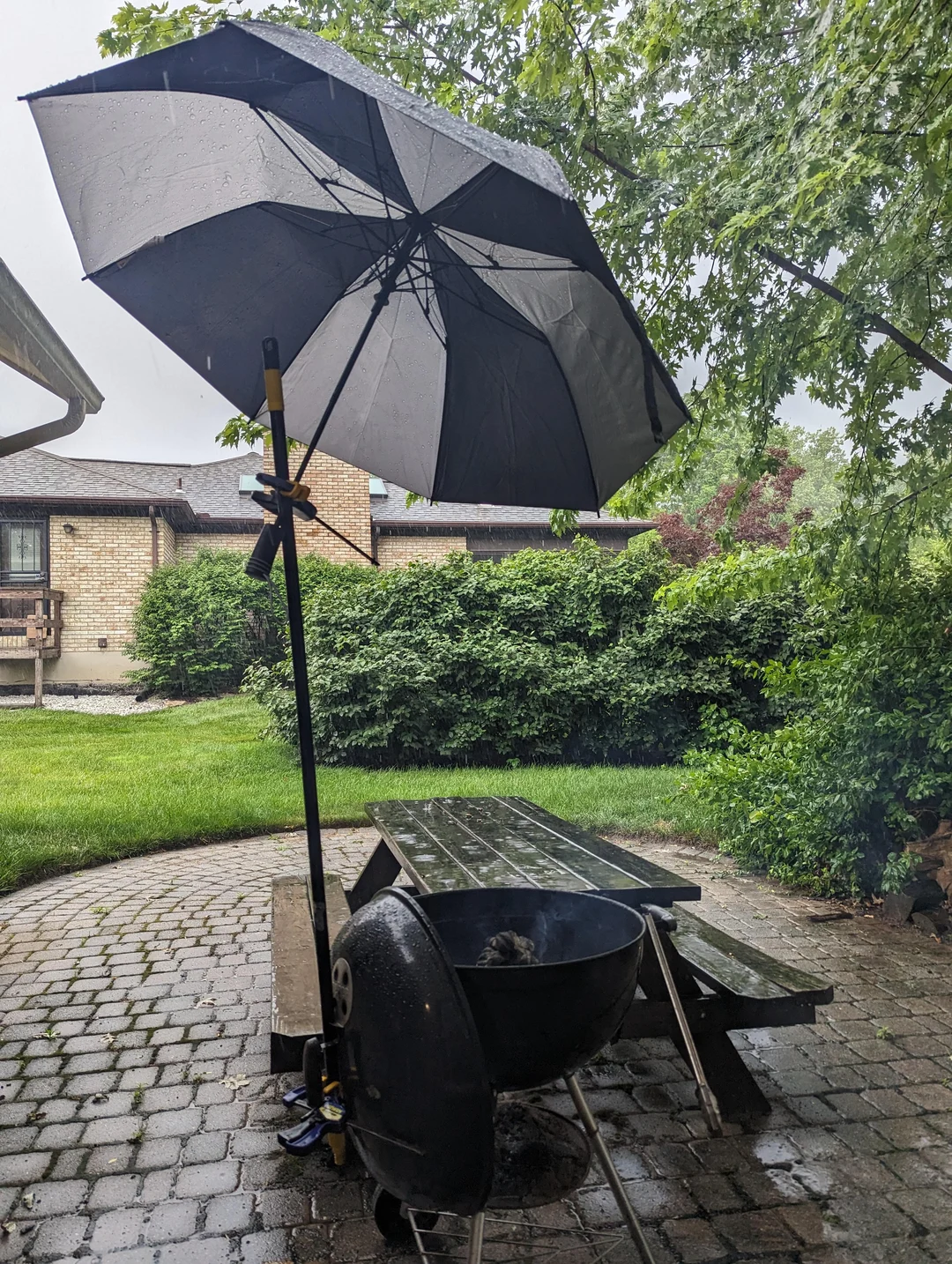 Grillin' in the rain | Scrolller