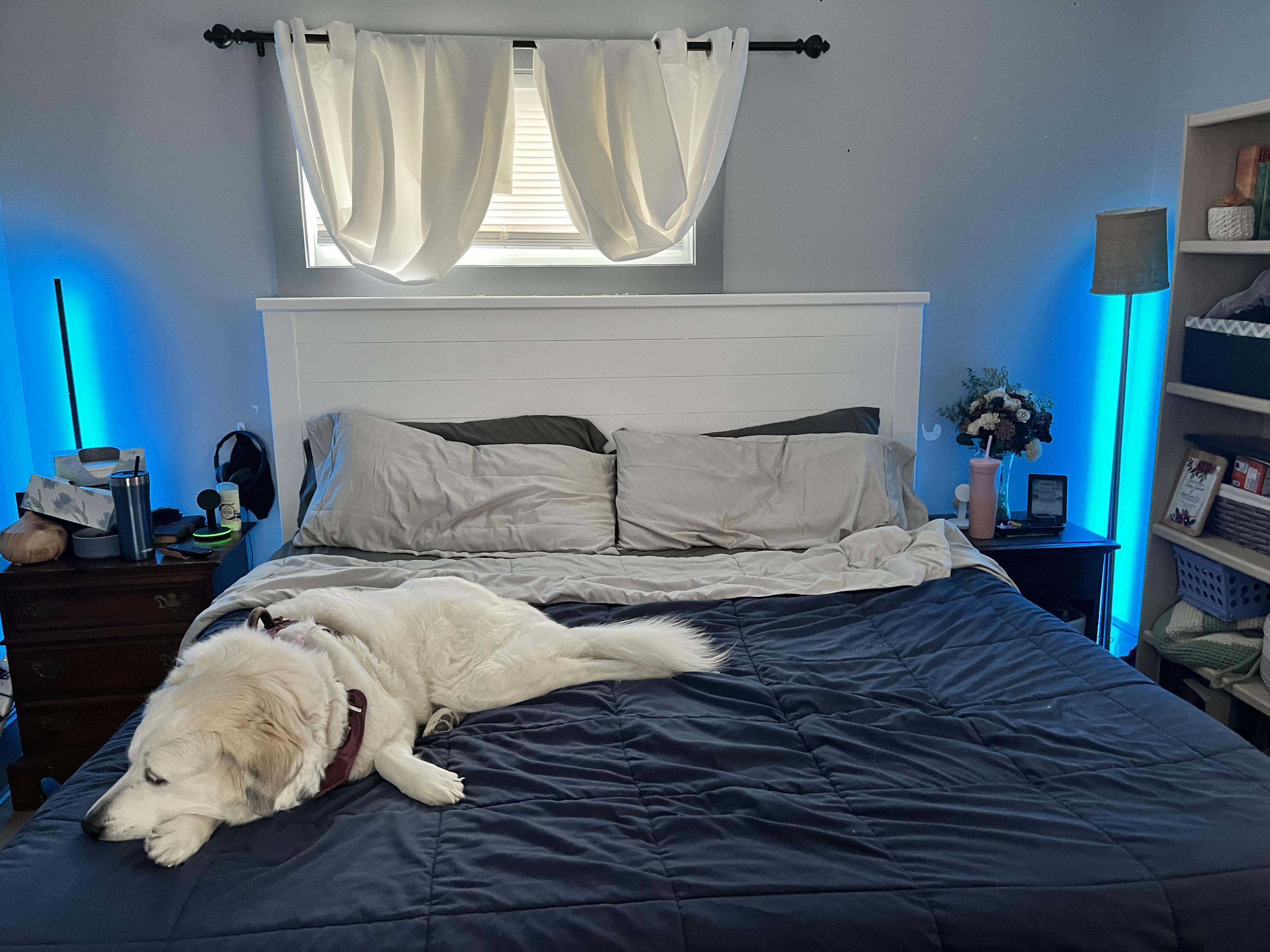 Curtain help | Scrolller