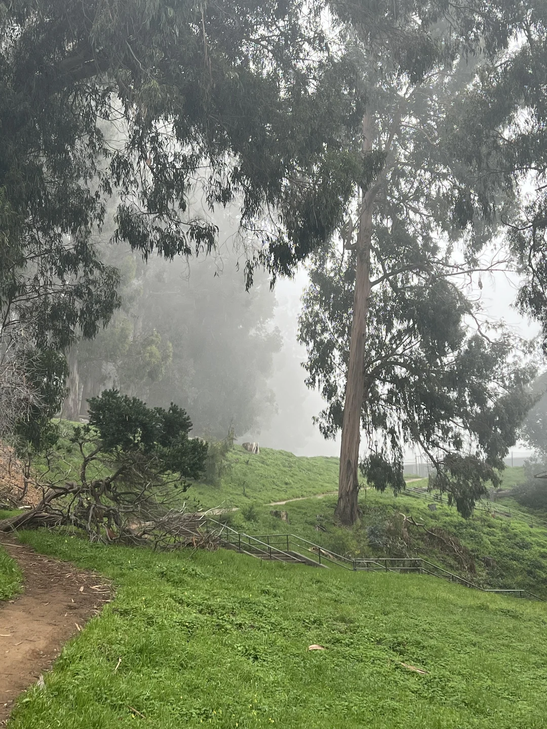 How to Recreate Without any Natural Fog/Mist | Scrolller