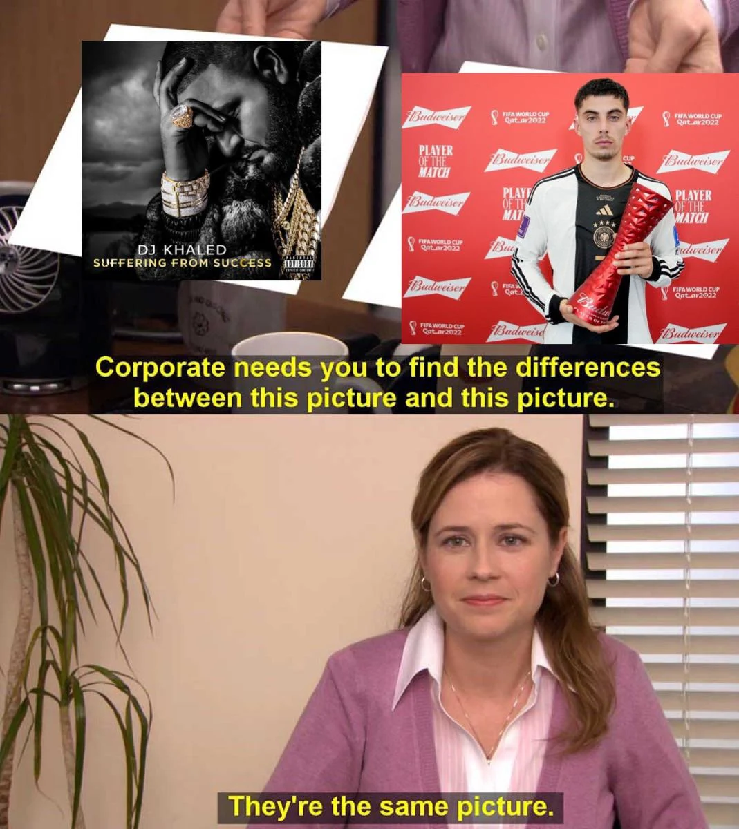 New template just dropped | Scrolller