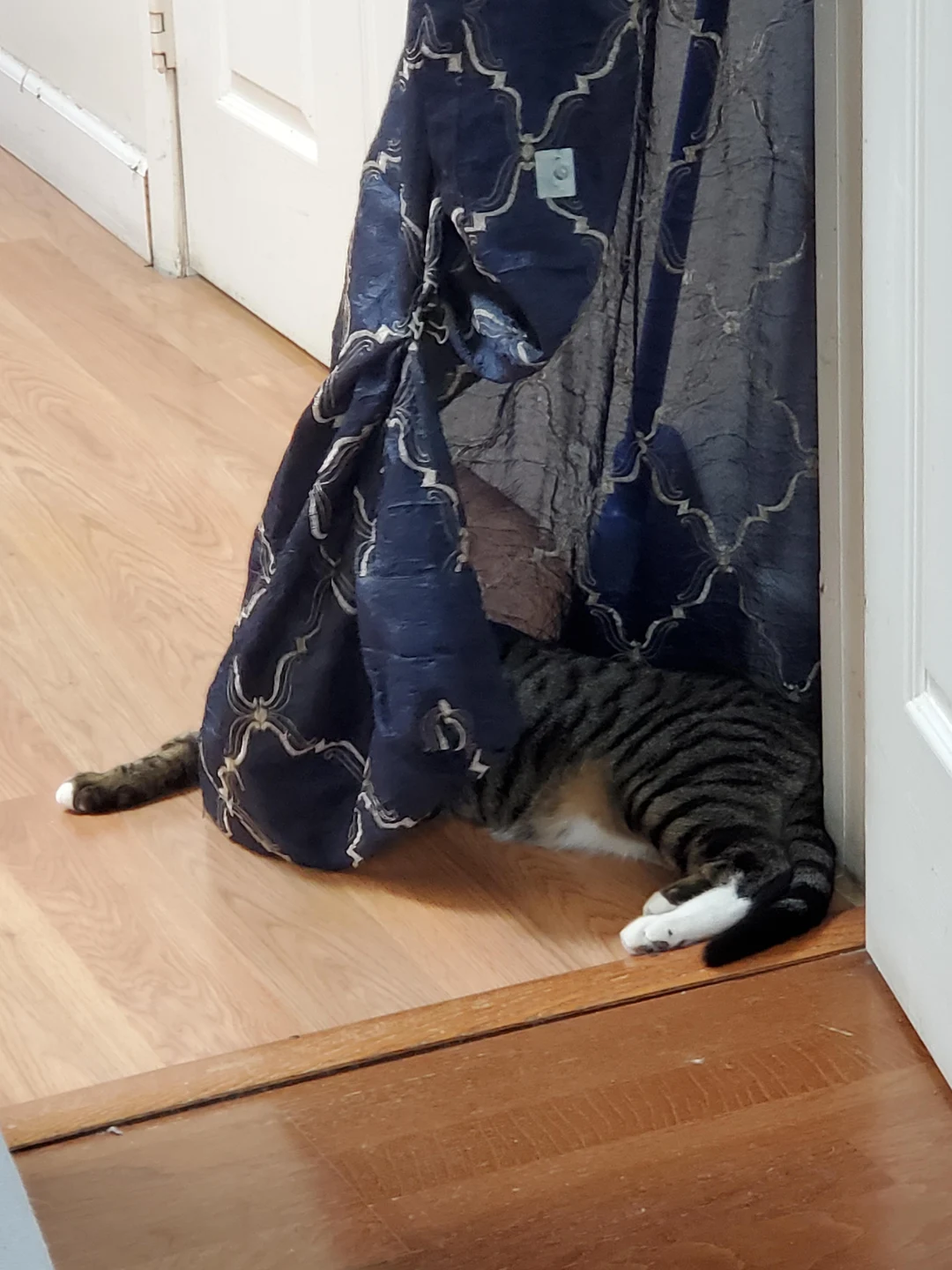 Hide n seek. | Scrolller