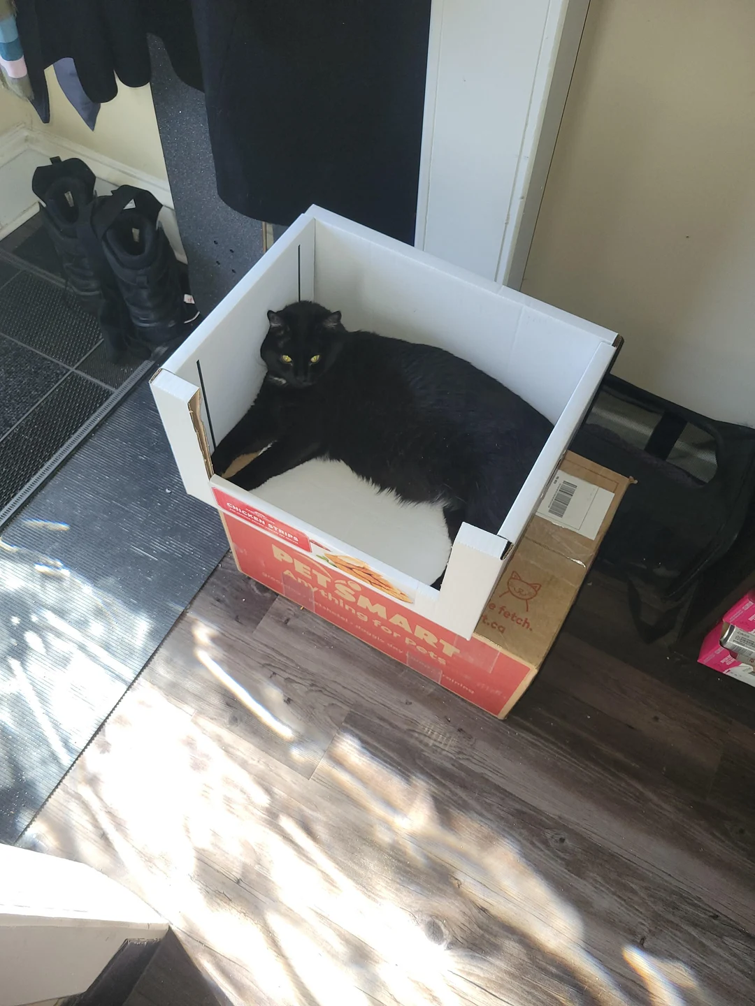 Double decker trap | Scrolller