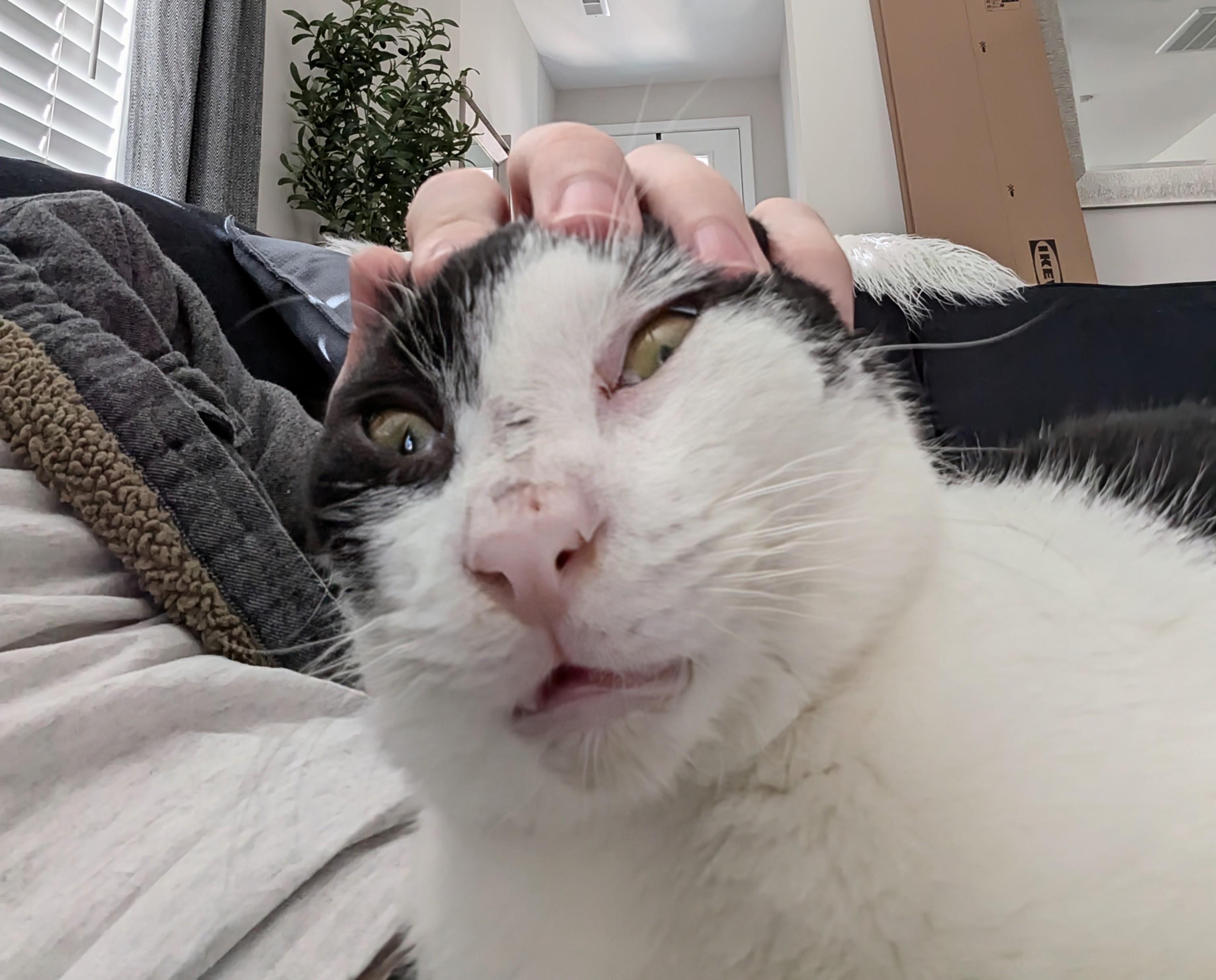 Stremtched to oblivion | Scrolller