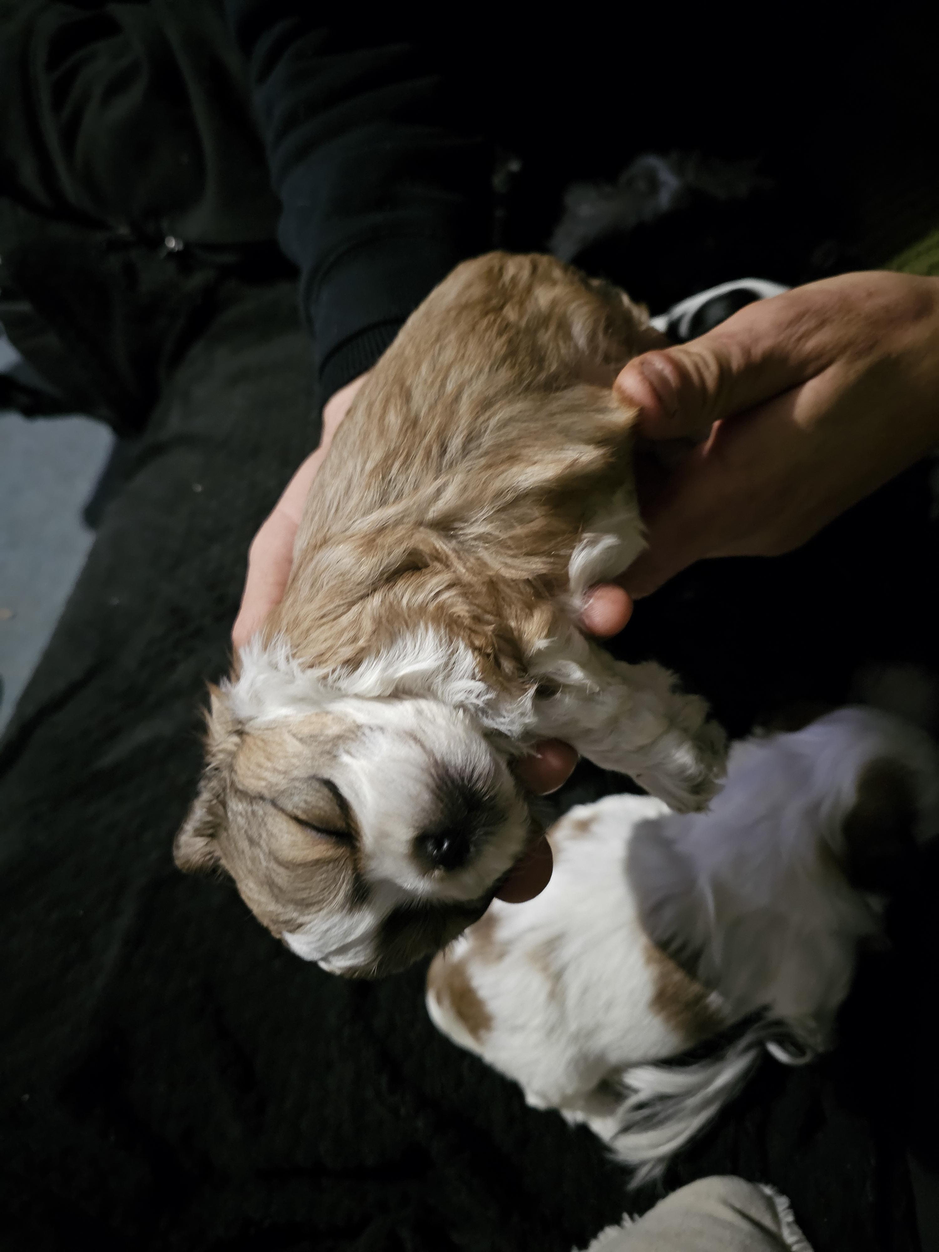 Fast asleep | Scrolller