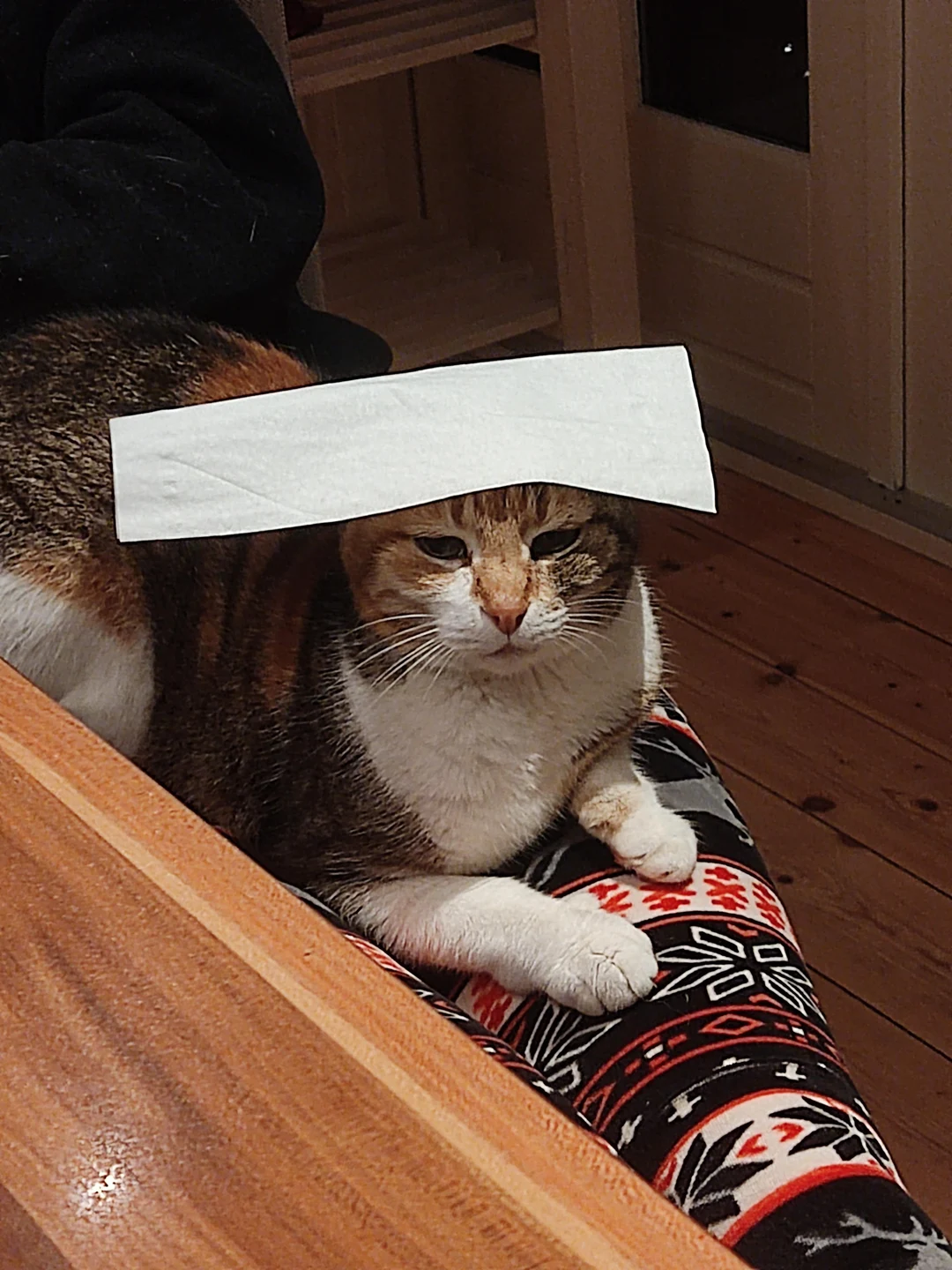 Tissue hat | Scrolller