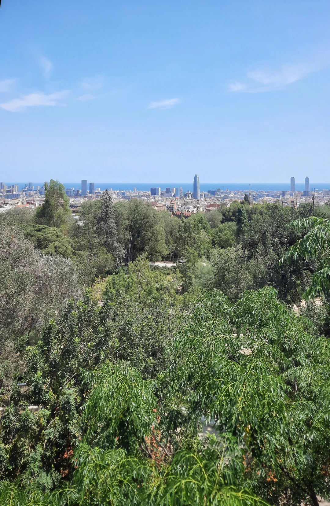 Barcelona | Scrolller