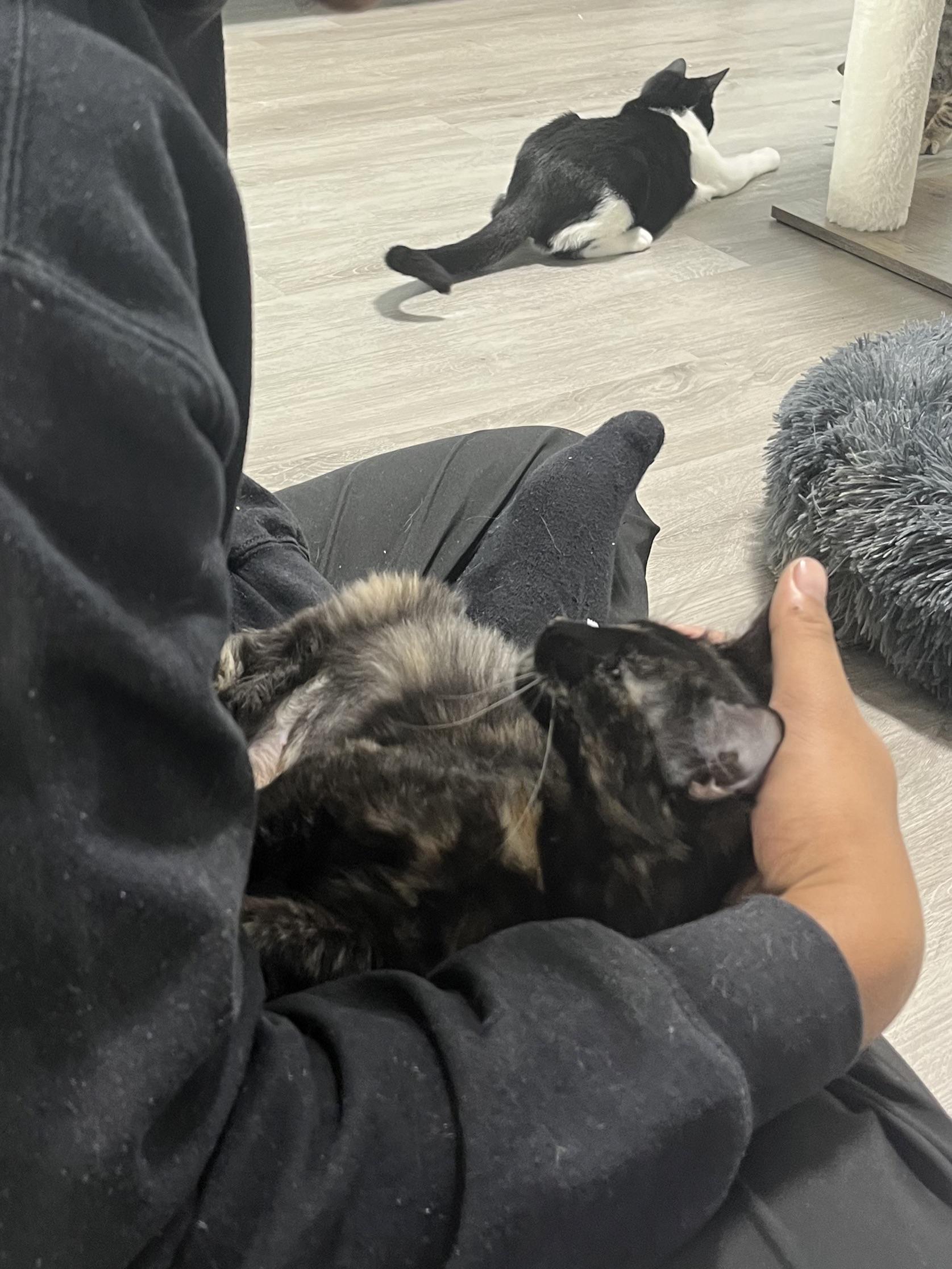 SHES SO CUTE | Scrolller