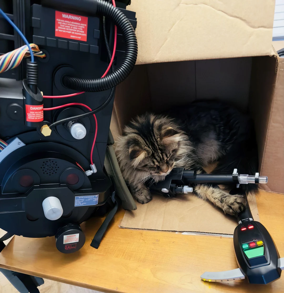 Ghost Buster! | Scrolller