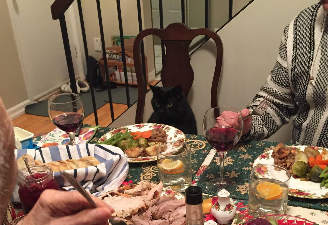 Will miss you terribly, Spooky, you adorable void | Scrolller