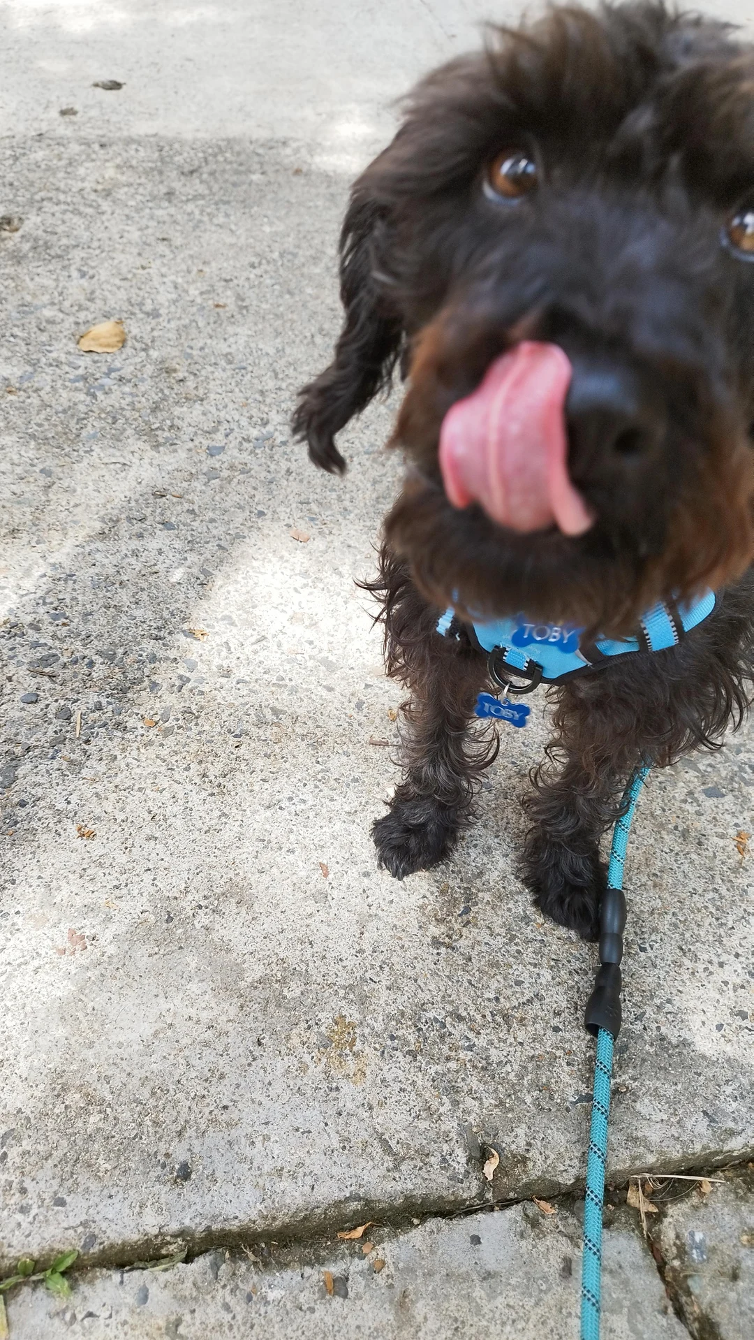 Toby shows off his slurp derp | Scrolller