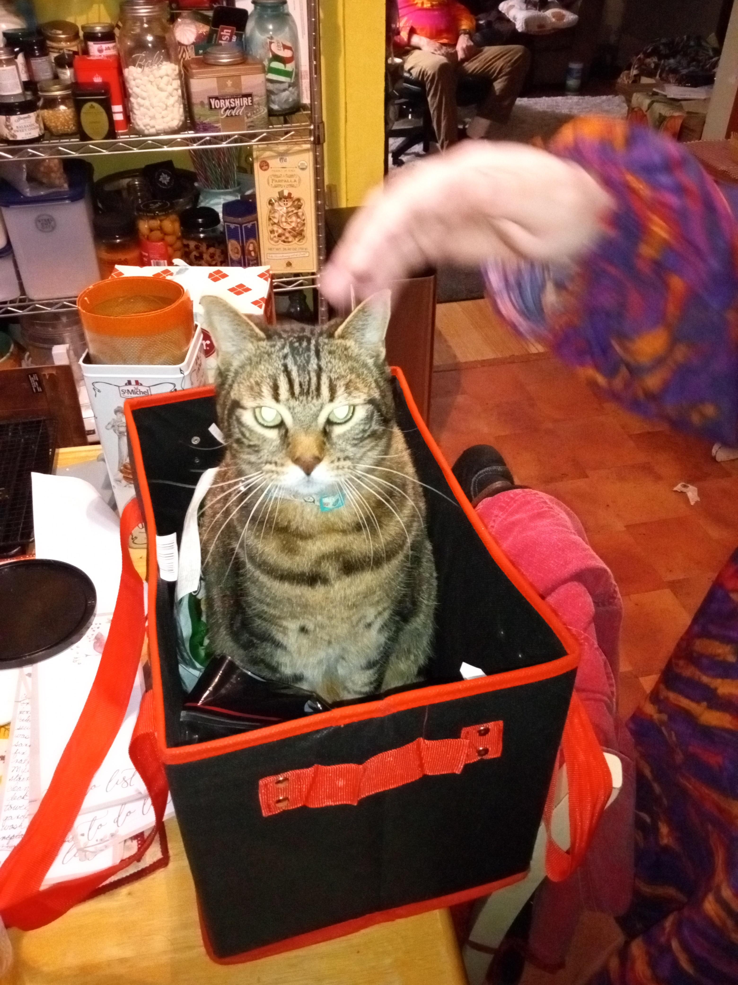 Photos taken before disaster | Scrolller