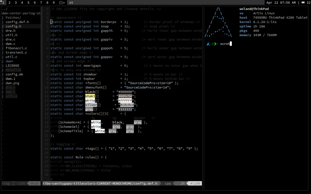 [dwm] A monochrome setup | Scrolller