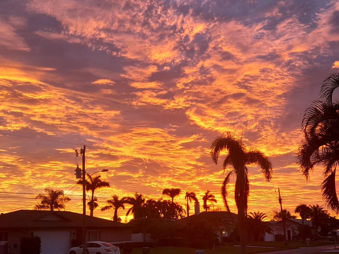 Fiery sunrise in SW Florida. | Scrolller